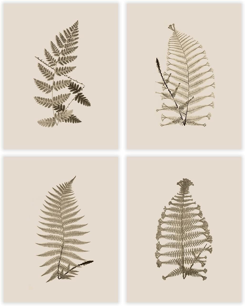Set of 4 Vintage Fern Print Wall Art for Bedroom, Beige Ferns Pictures ...