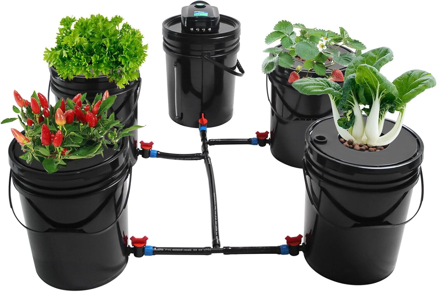 Set of 5 Deep Water Culture DWC Hydroponic Grow System Kit Each 5 Gall Recirculating Bucket Set ...