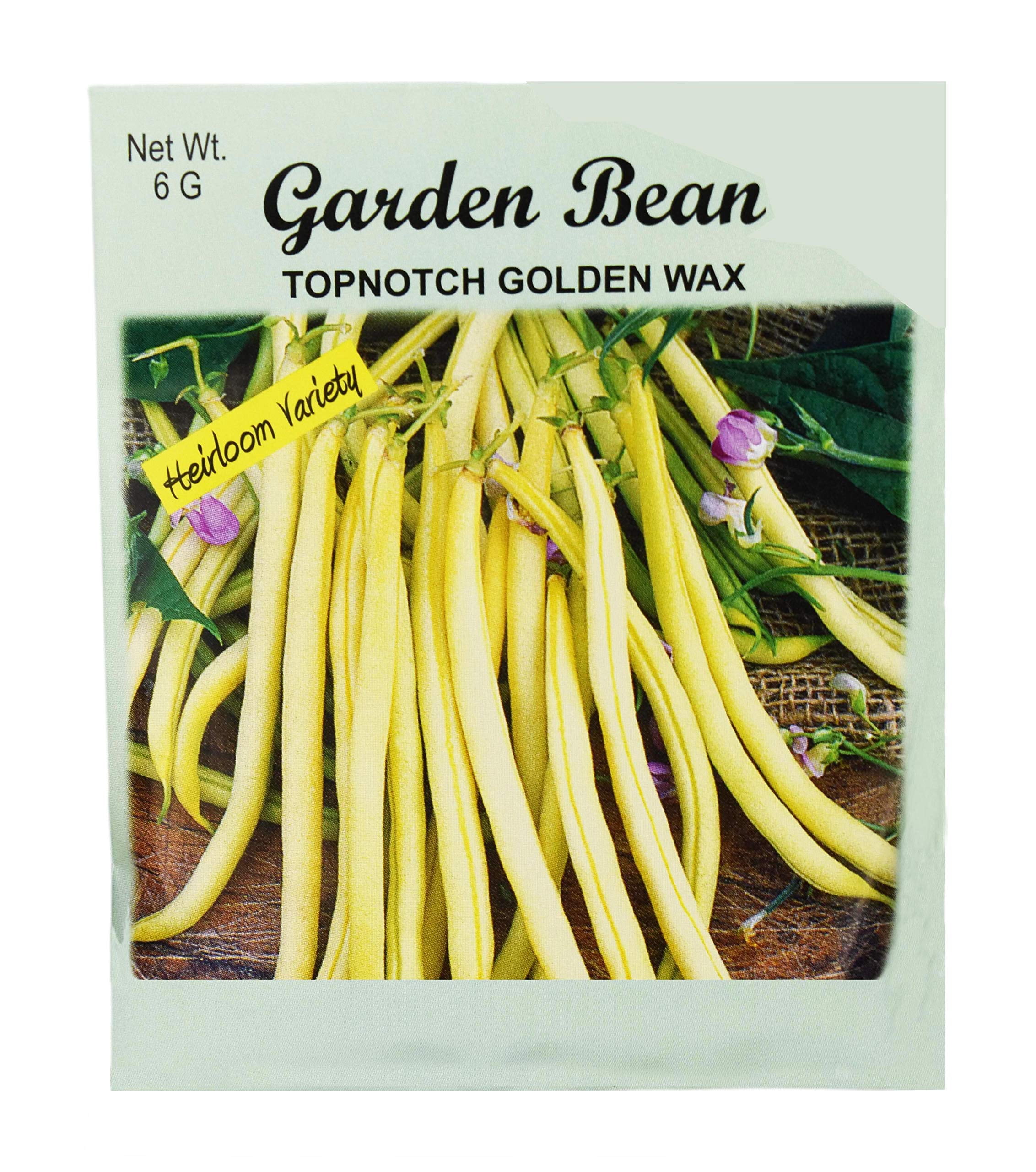 Set of 50EGSC Garden Beans Topnotch Golden Wax Vegetable Seed Packs - 100% GMO Free - Heirloom ...