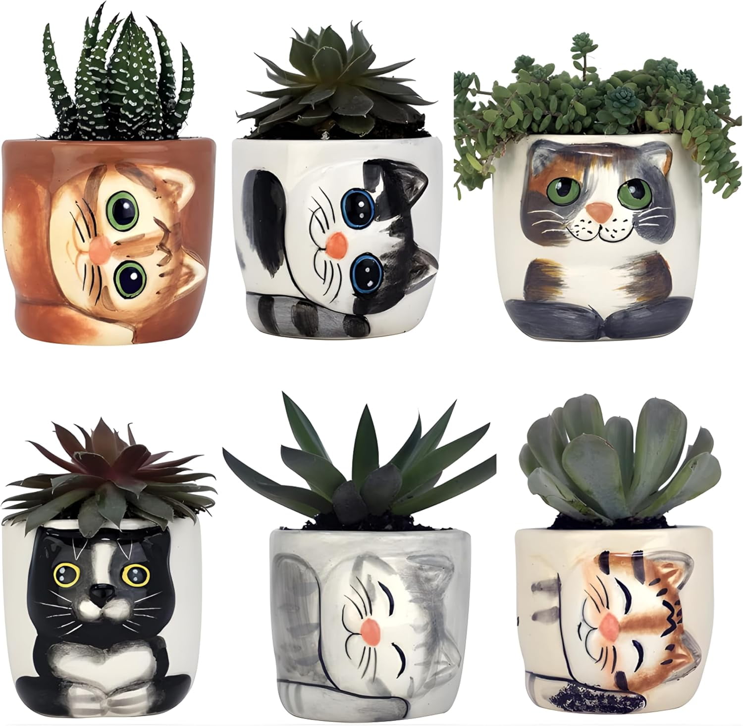 Set of 6 Cute Cat Planter Pots, 3 Inch Mini Succulent Kitty Flower Pots ...