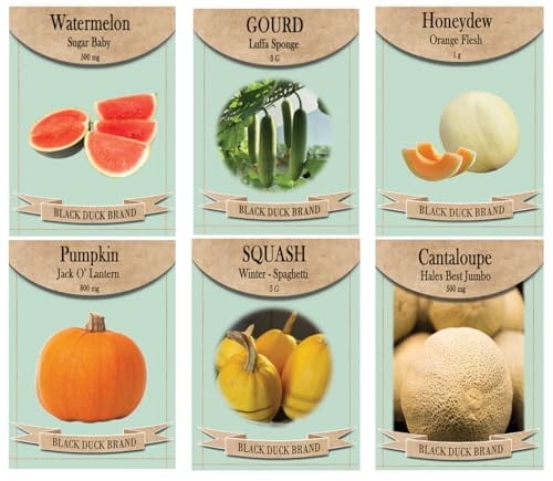 Set of 6 Melon & Gourd Garden Seed Collection – Grow Sweet Melons ...