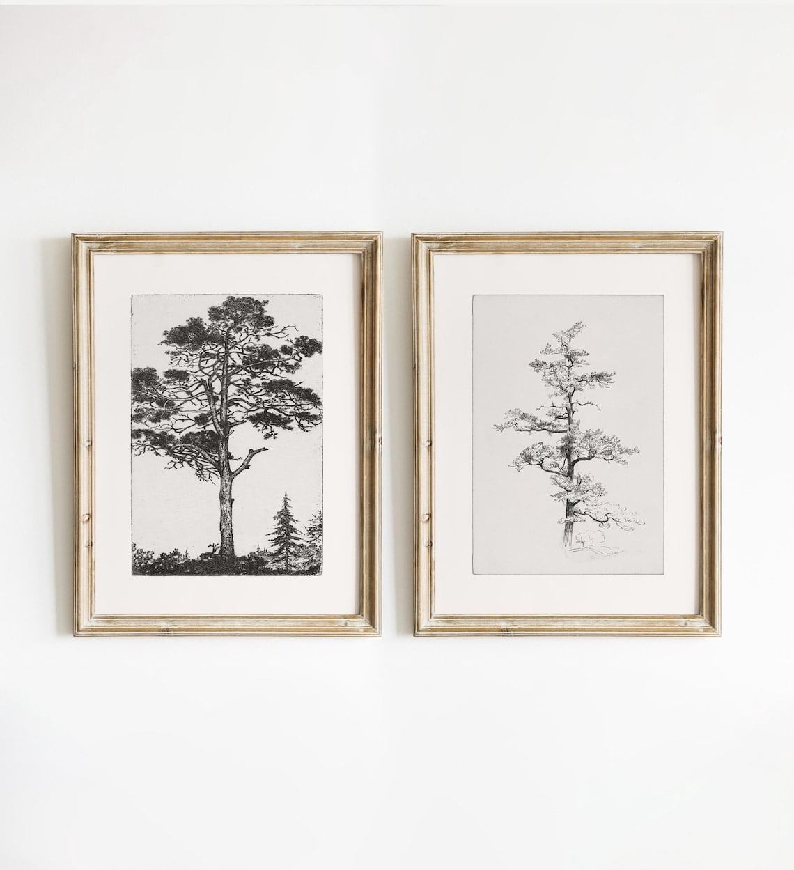 Set Of 2 Tree Drawing Wall Art Prints, Rural Rustic Sketch, Neutral ...