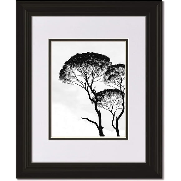 Curved Picture Frame