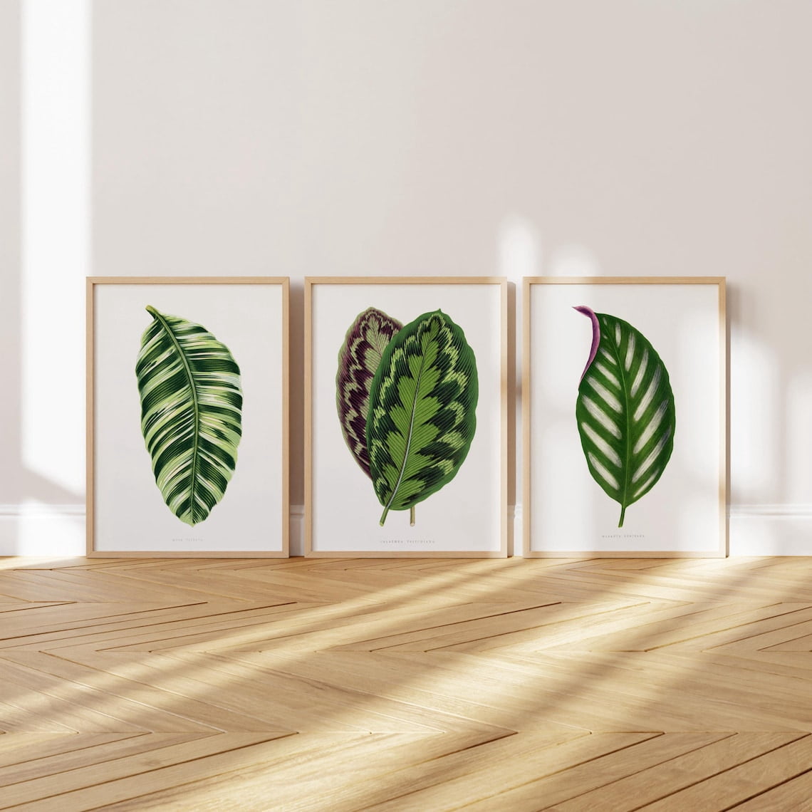 Set Of 3 Leaf Botanical Wall Art Prints, Botanical Bedroom And Living ...