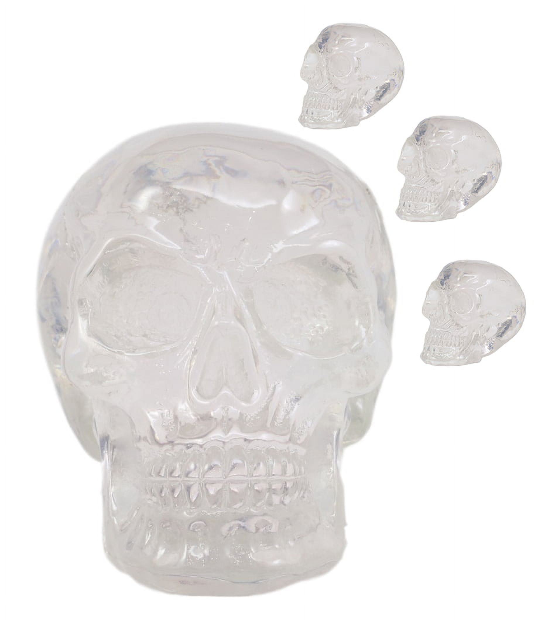 Set Of 4 Clear Translucent Witching Hour Gazing Skull Miniature ...