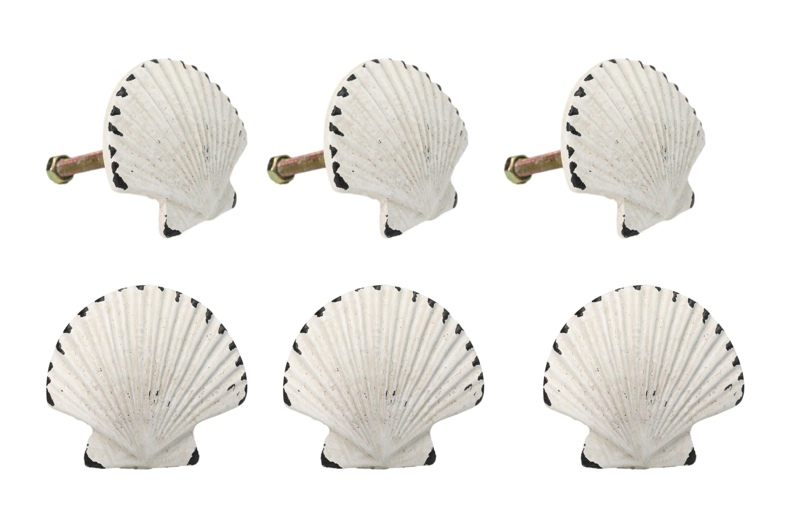 Set Of 6 Distressed White Marine Seashell Clam Brass Cabinet Door Pull ...