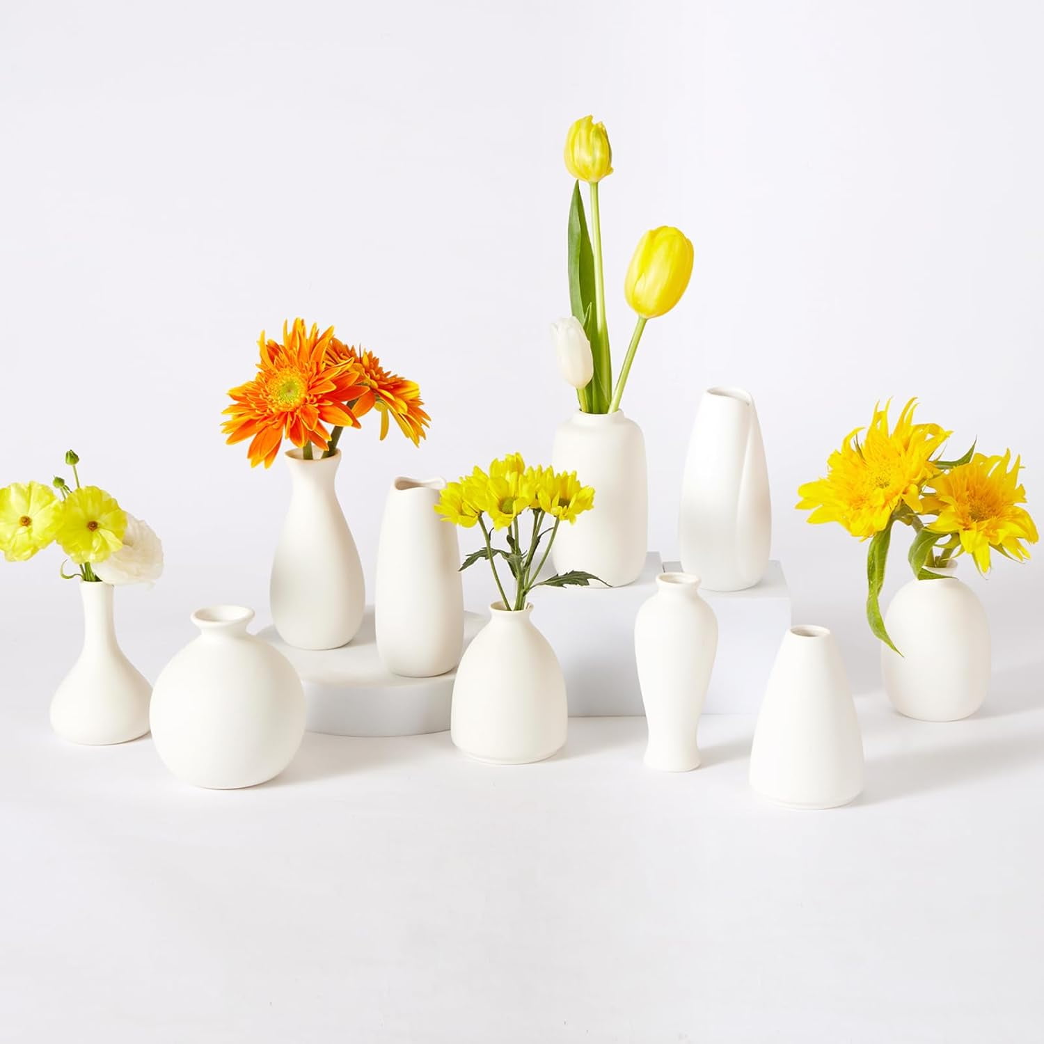 Set of Ten White Ceramic Vases, Various Shapes and Sizes, High ...