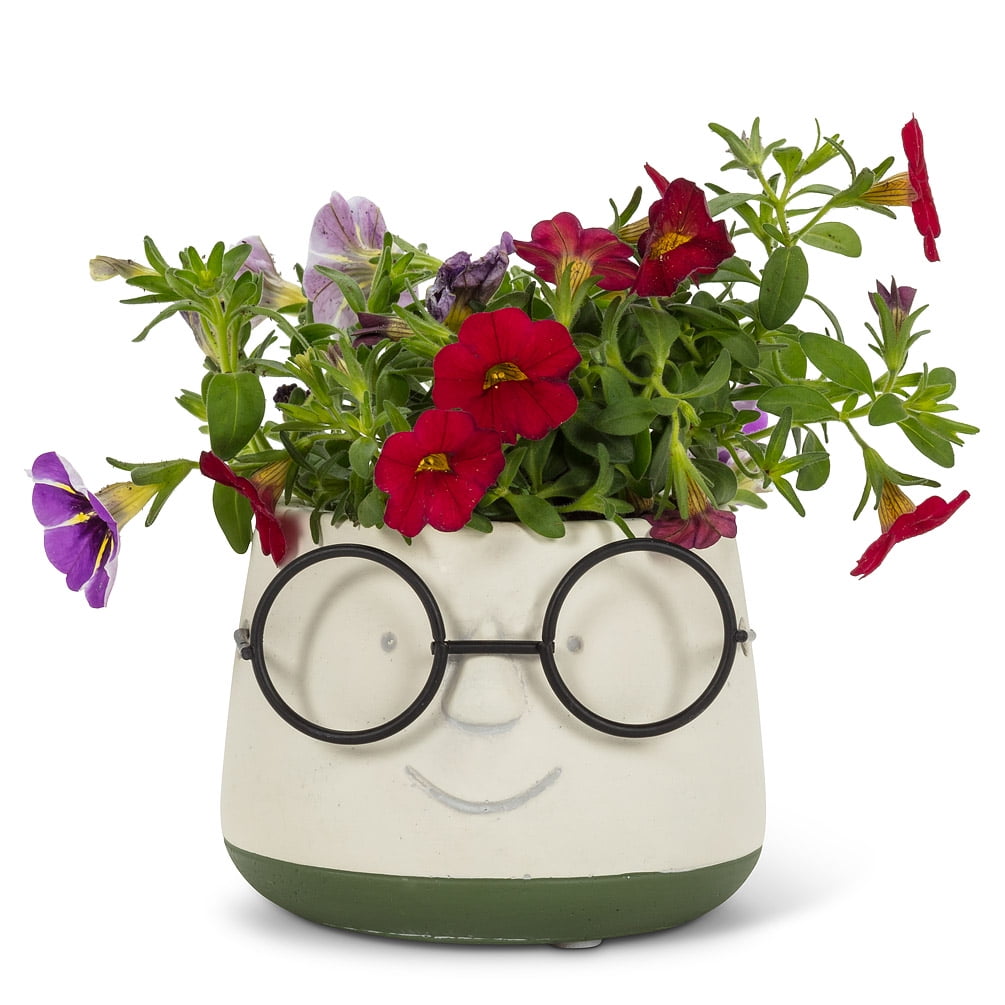 Small Face Planter with Glasses, Set of 1, Ideal for Pot Plant Flower ...