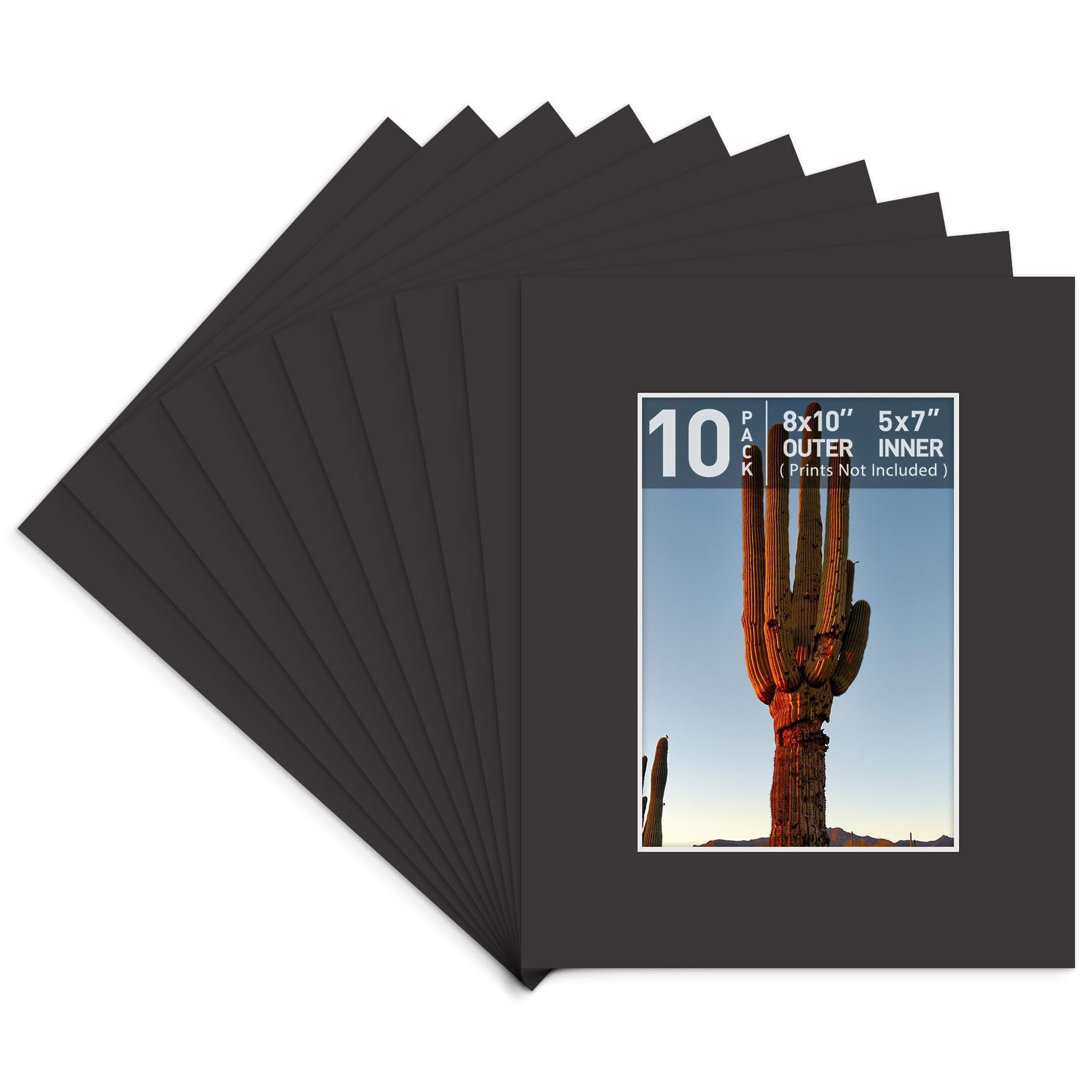 Set of 10 8x10 Black Bevel Cut Matboards, White Core 4 Ply Thick, Fits 5x7 Pictures in 8x10 ...