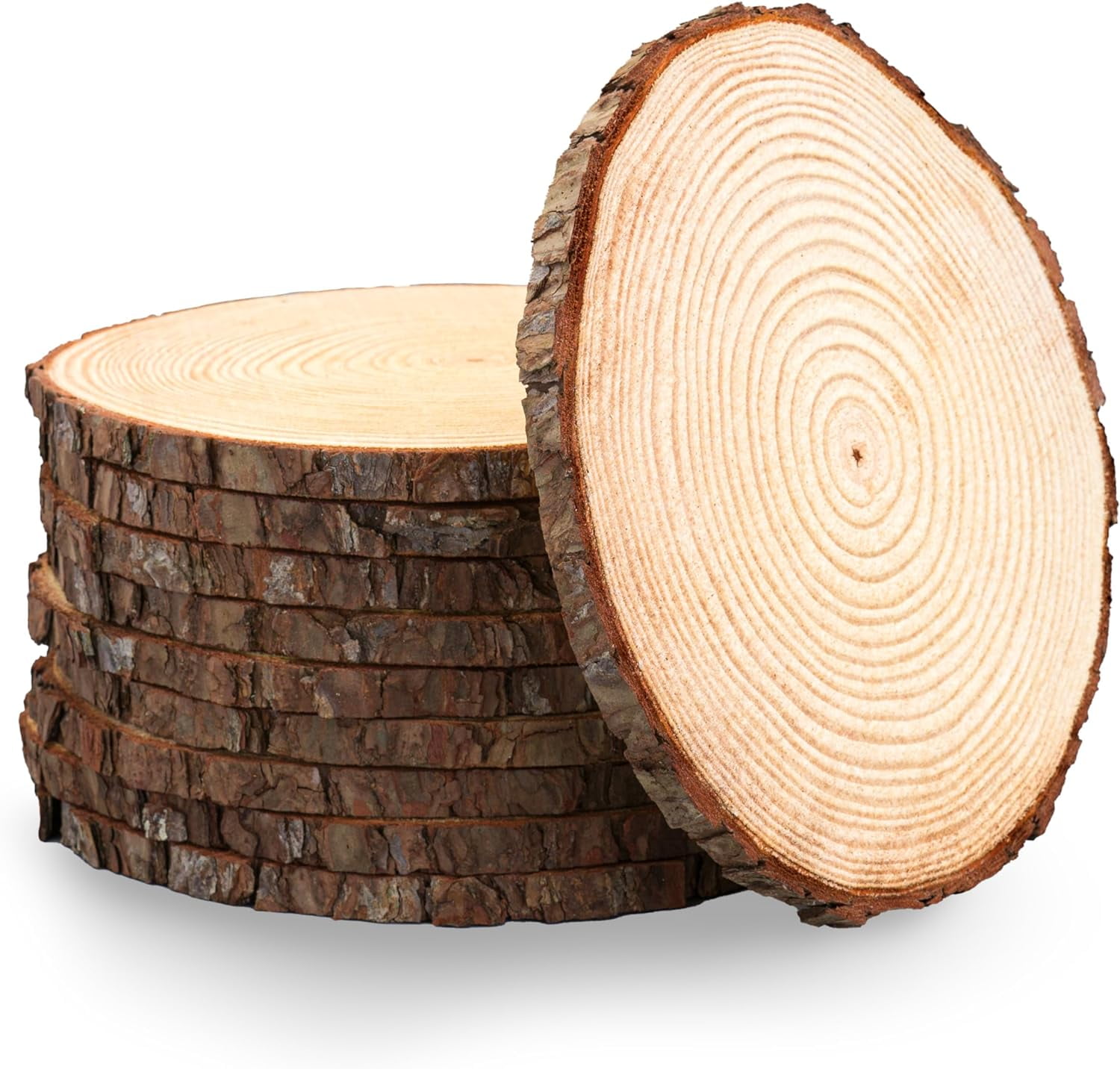 Set of 10 Medium Wood Slices (8-10”) – Rustic Natural Wood Rounds for ...