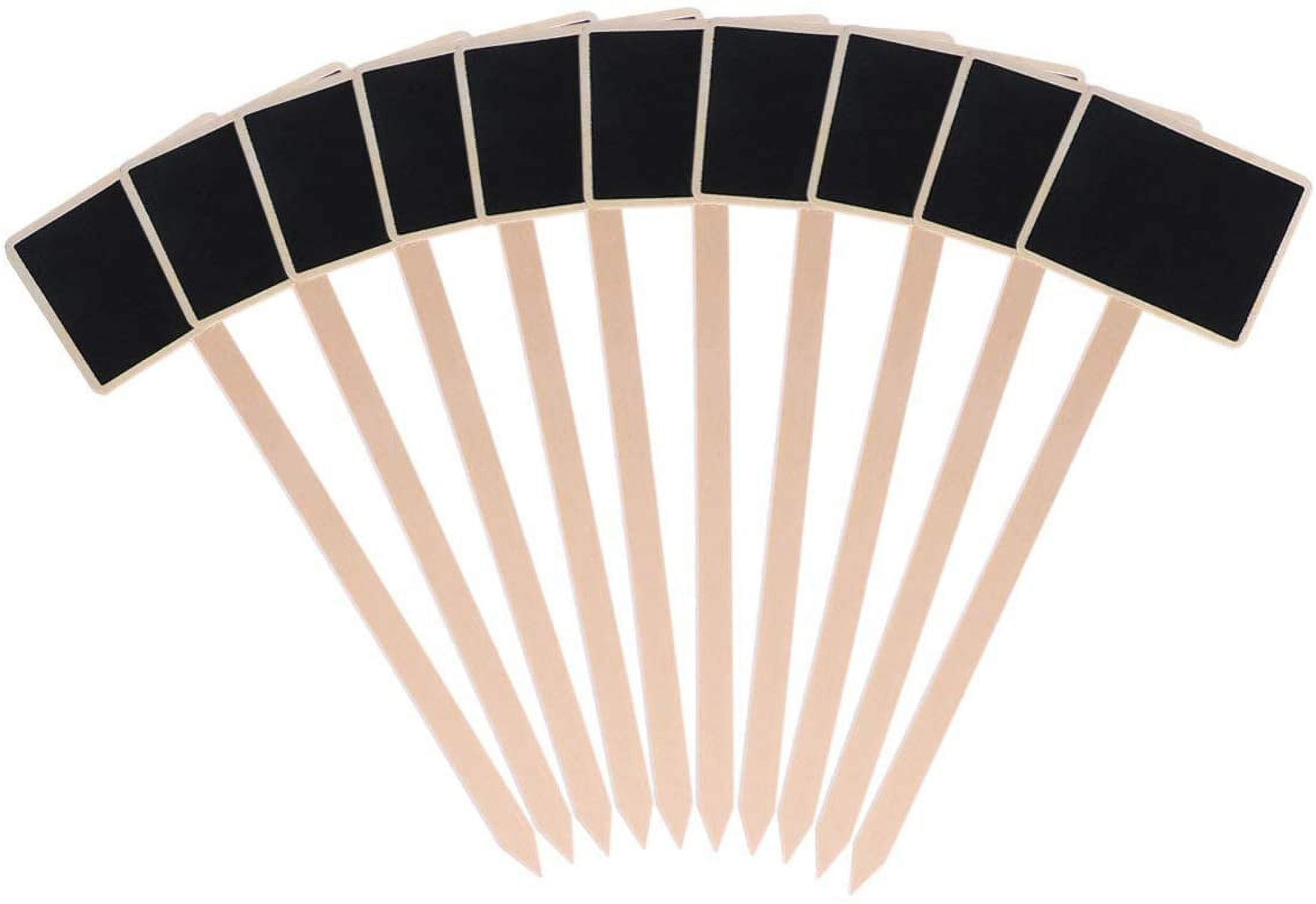 Depato Set of 10 Mini Garden Slates Flowers and Plants Labels - Walmart.com