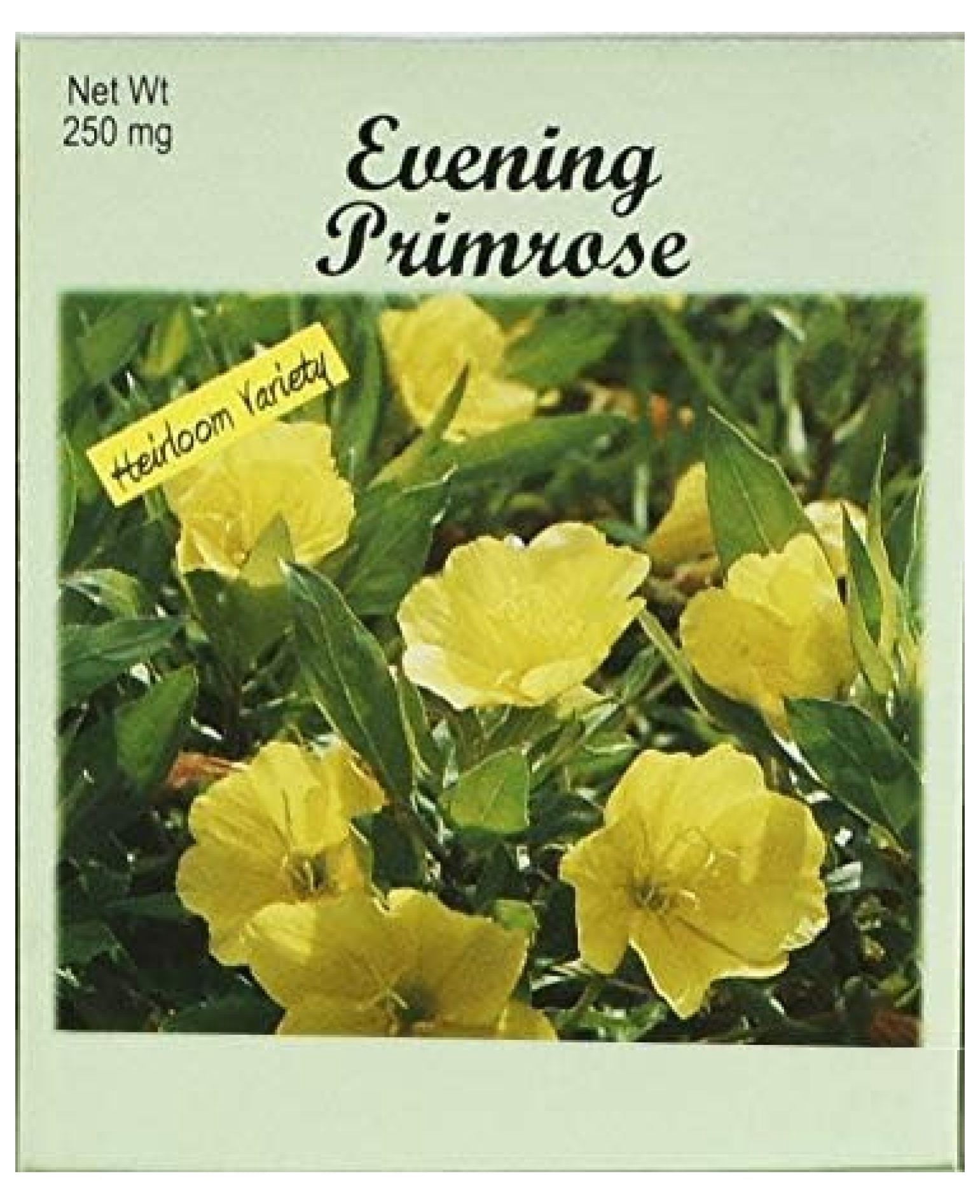Set of 100 Flower Seed Packets! Flower Seeds in Bulk (100, Primrose ...