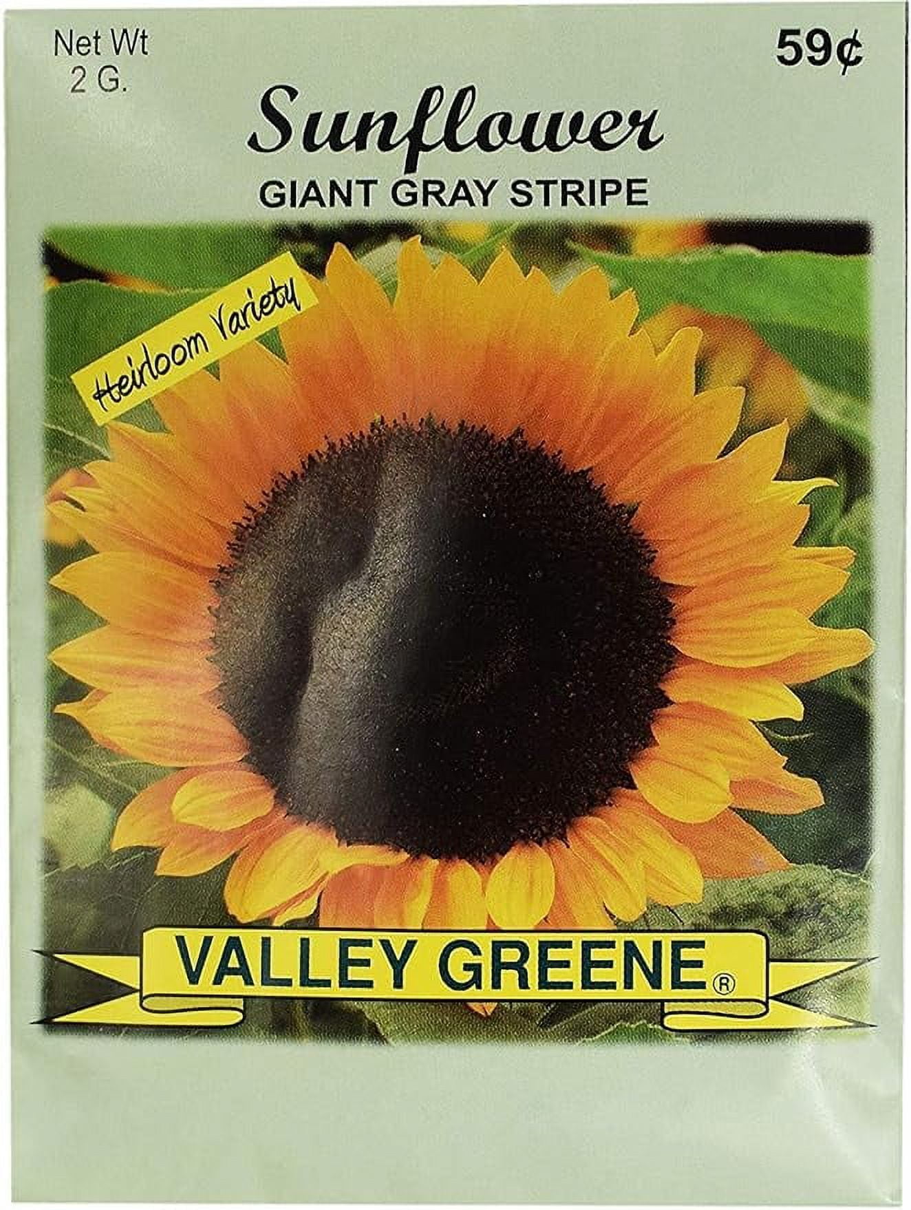 Set of 100 Flower Seed Packets! Flower Seeds in Bulk - Great for ...