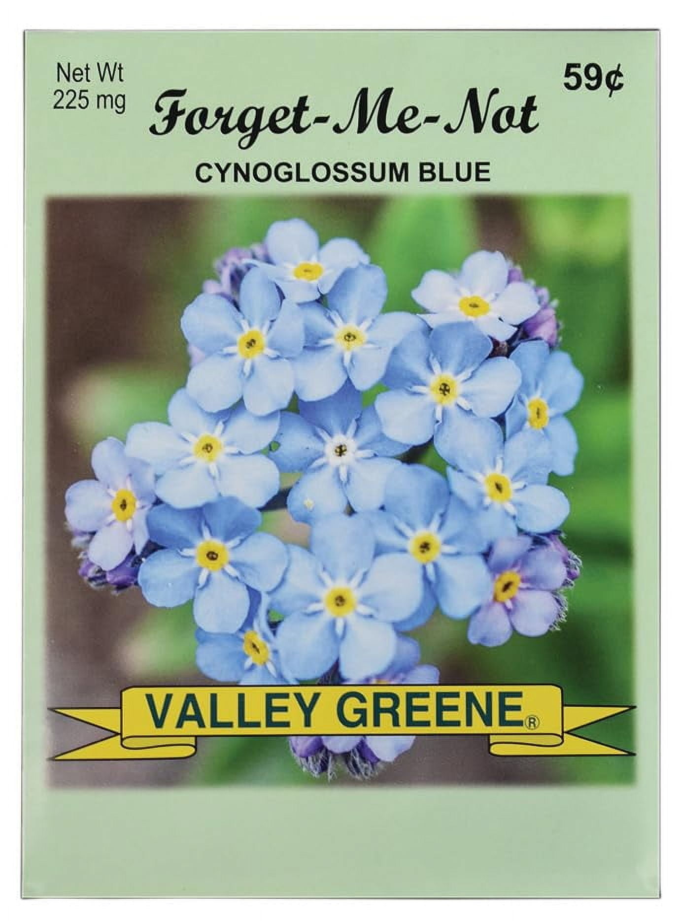 Set of 100UMRT Forget Me Not Valley Green Flower Seed Packets! Flower ...