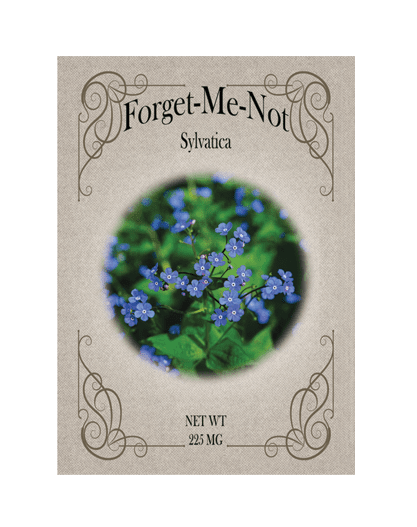 Set of 100 Forget Me Not Valley Green Flower Seed Packets! Flower Seeds ...