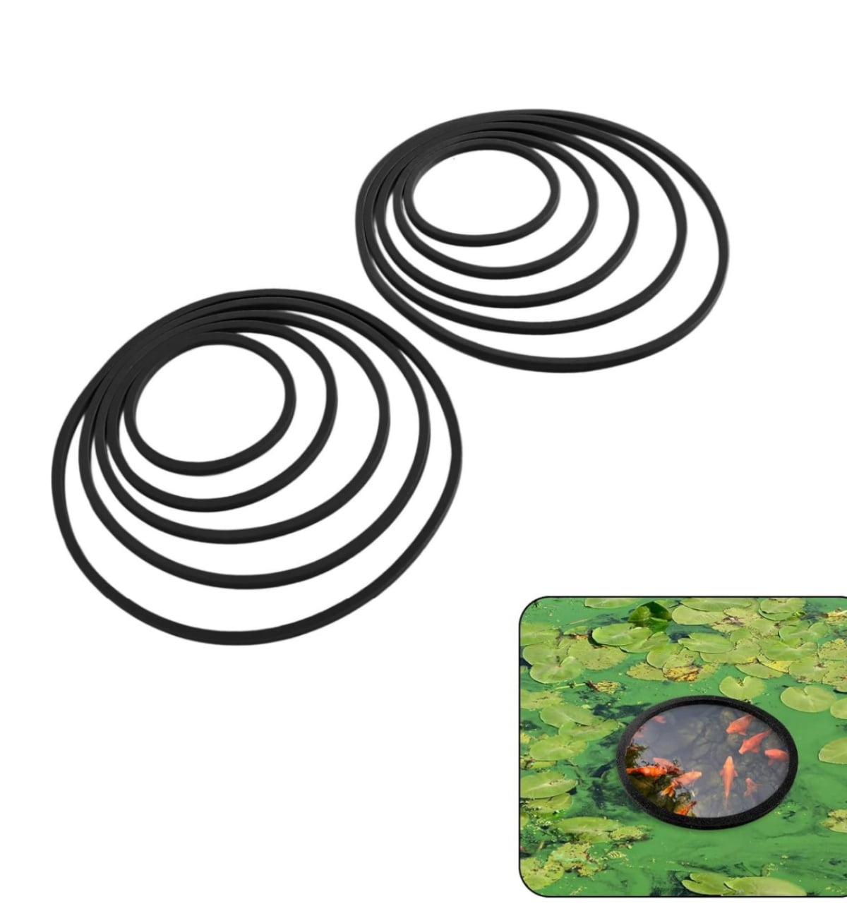 Set of 10pPcs Aquarium Feeding Rings,5 Sizes of Aquarium Floating Plant ...
