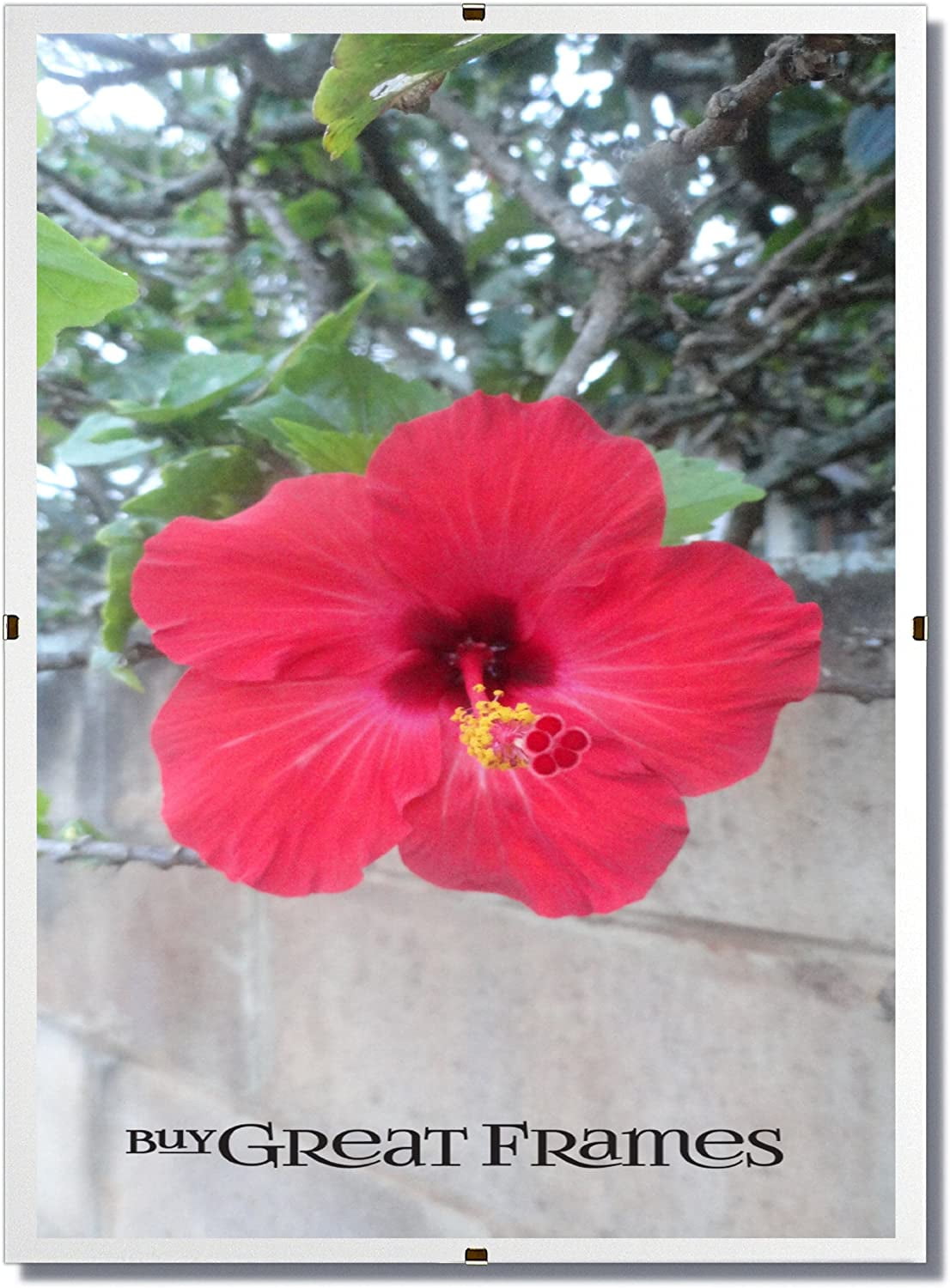 Set of 12 - 8.5x11 Glass and Clip Certificate Frames - Walmart.com