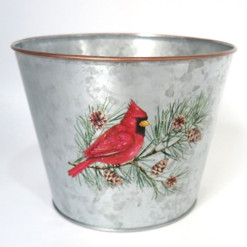 Set of 12 Cardinal On A Branch Print On Metal Planter - Walmart.com