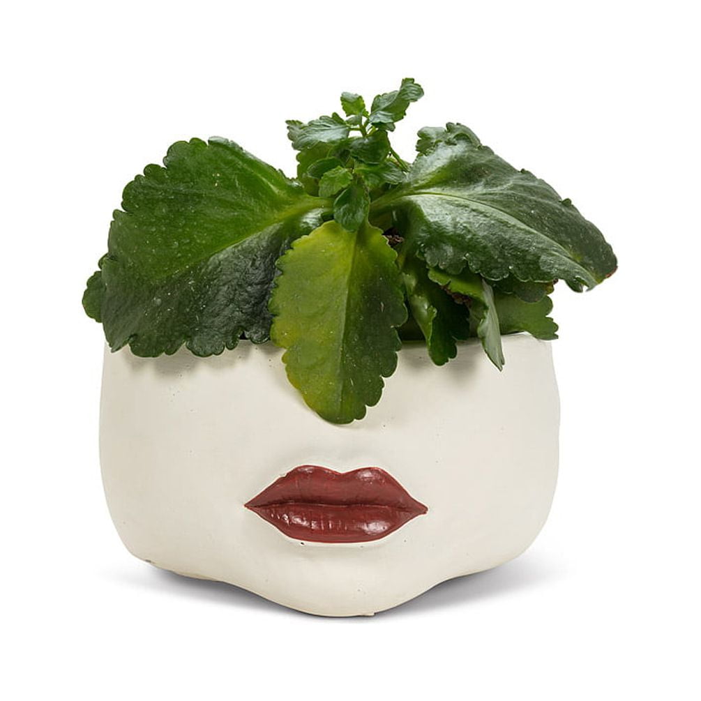 Set of 12 Low Red Lip Planter - Walmart.com