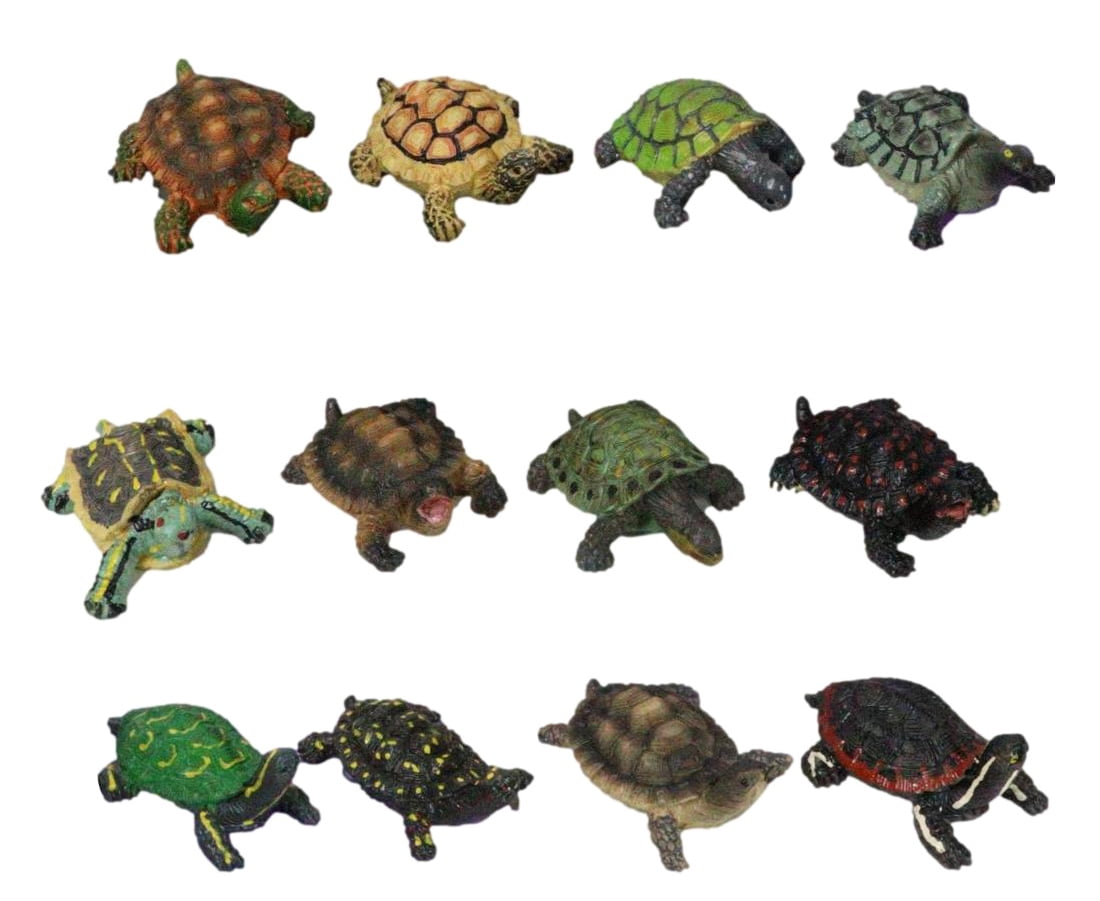 Set of 12 Marine Colorful 2" Mini Reptile Collectible Tortoise Species ...