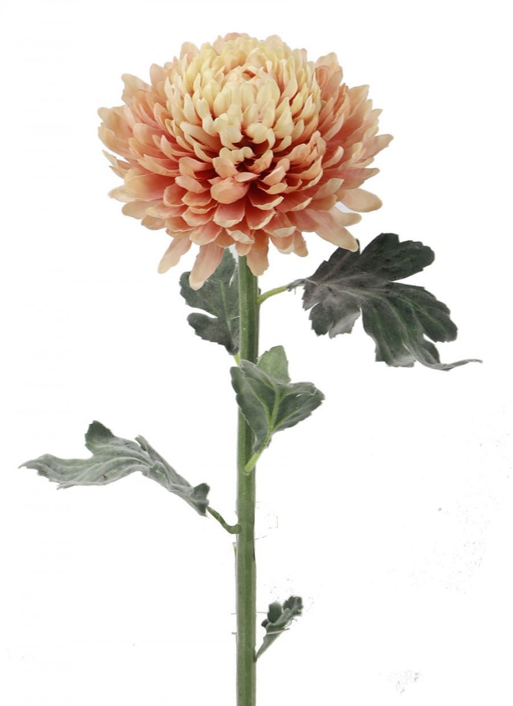 Set of 12 Toffee Mum Artificial Flower - Walmart.com