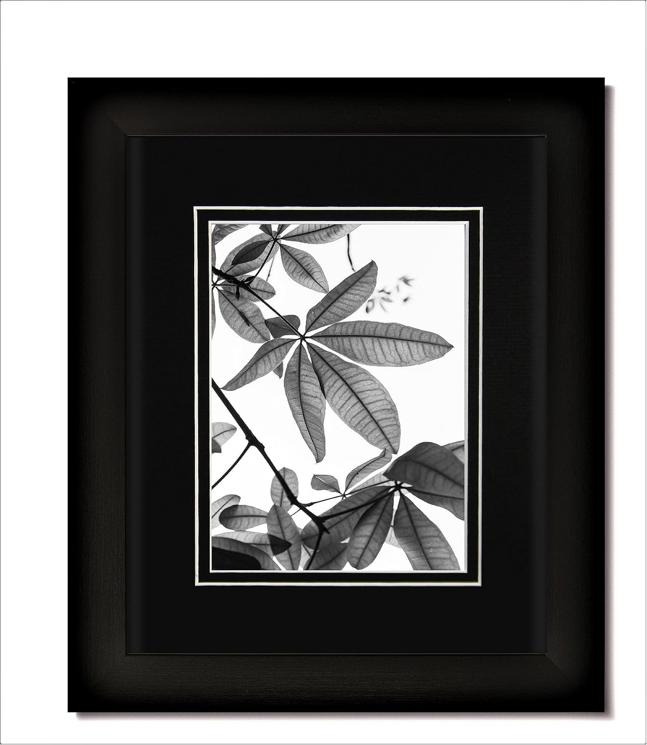 Set of 2-16x20 Matte Black Modern Photo Frame with Clear Glass and ...