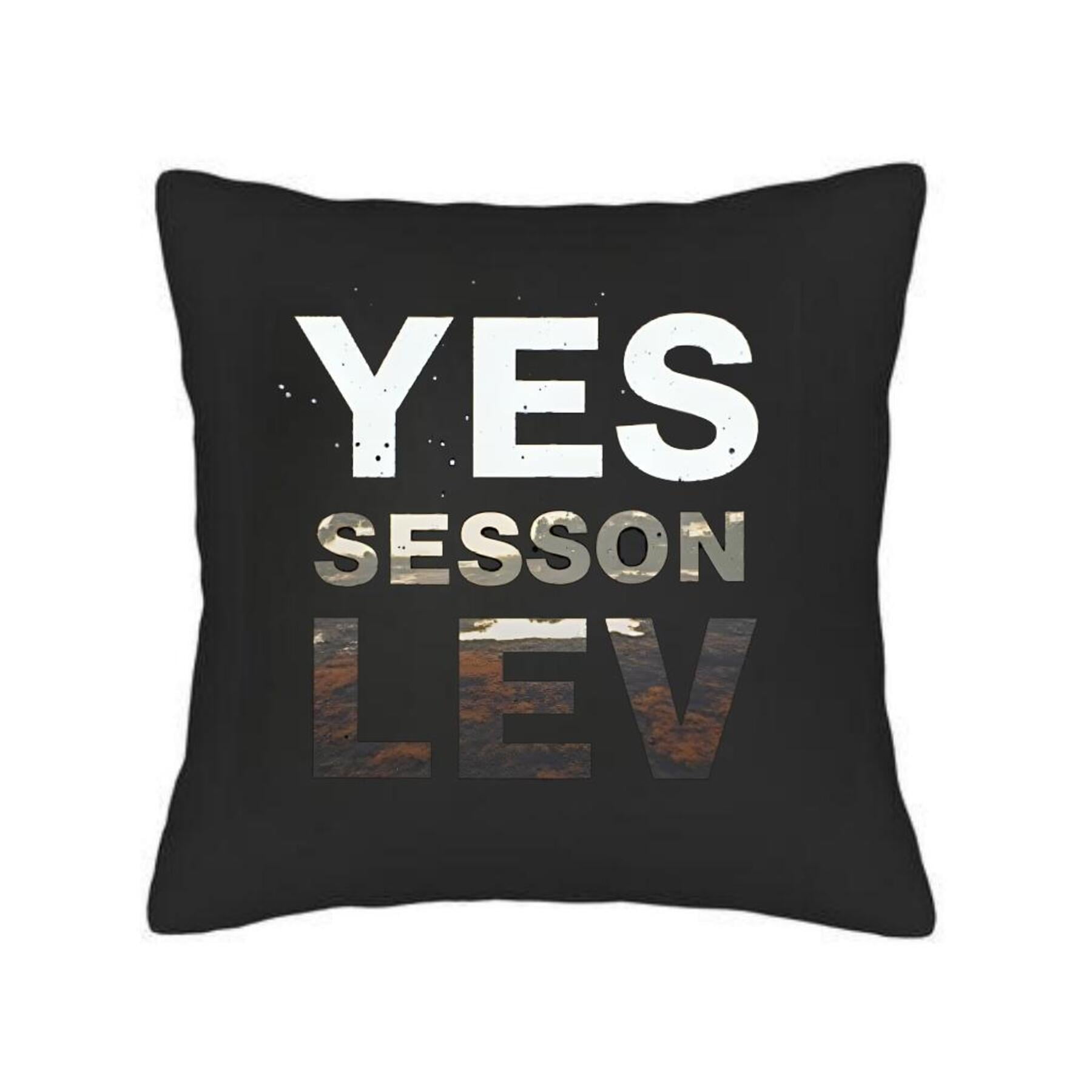 Set of 2 18x18 Black Throw Pillow Covers with Bold ' YES SESSION LEV ...