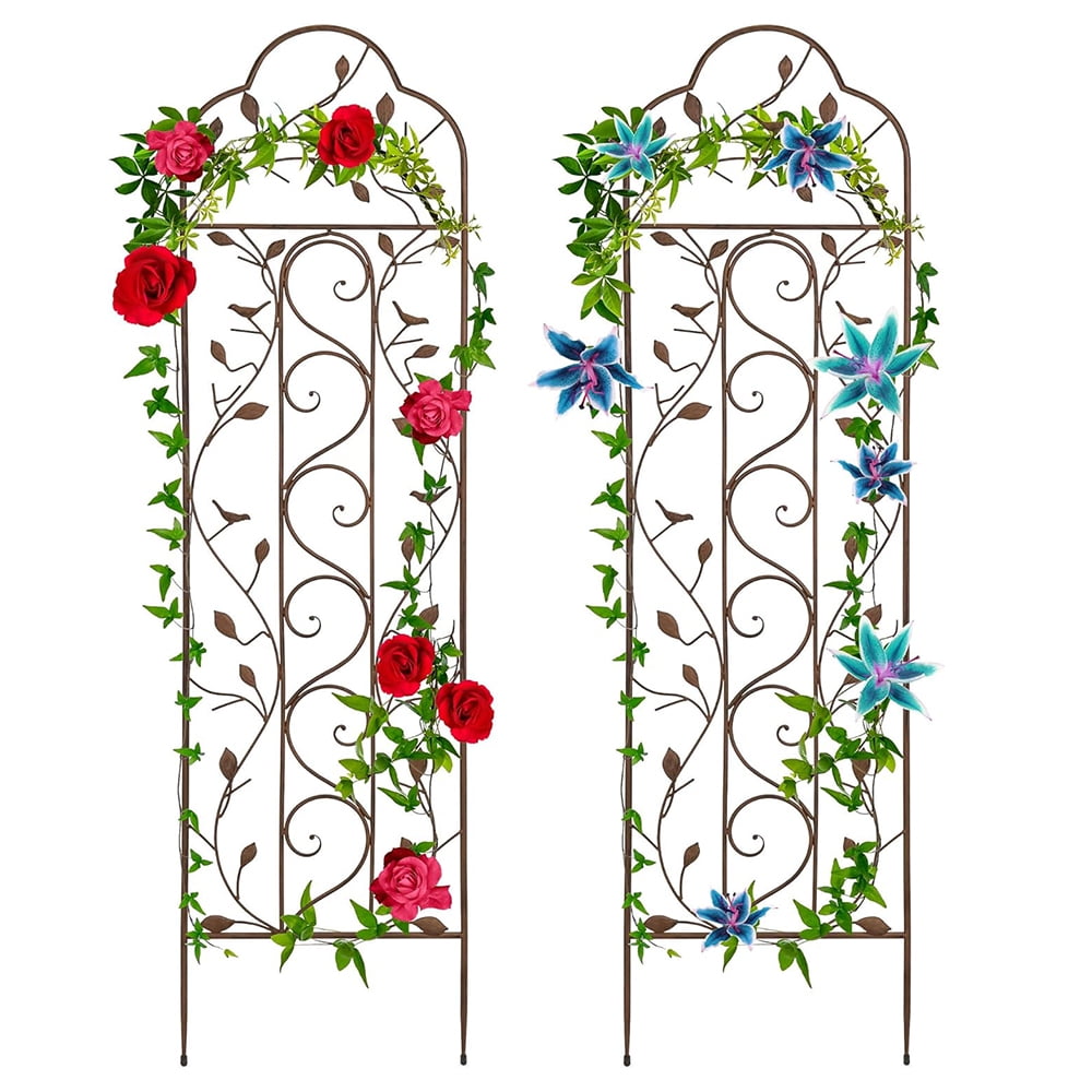 Set of 2 60x15-inch Iron Arched Garden Trellis with Leaf, Stem, Branch, and Bird Details for ...