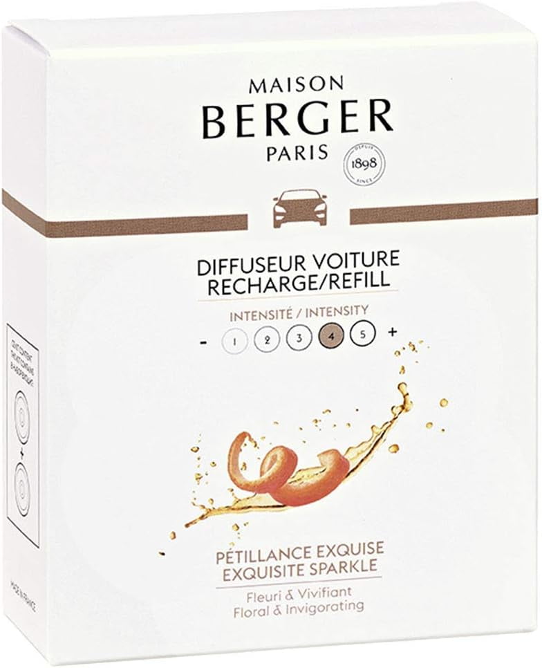 Set of 2 Ceramic Pods for Refillable Car Air Freshener Vent Clip ...