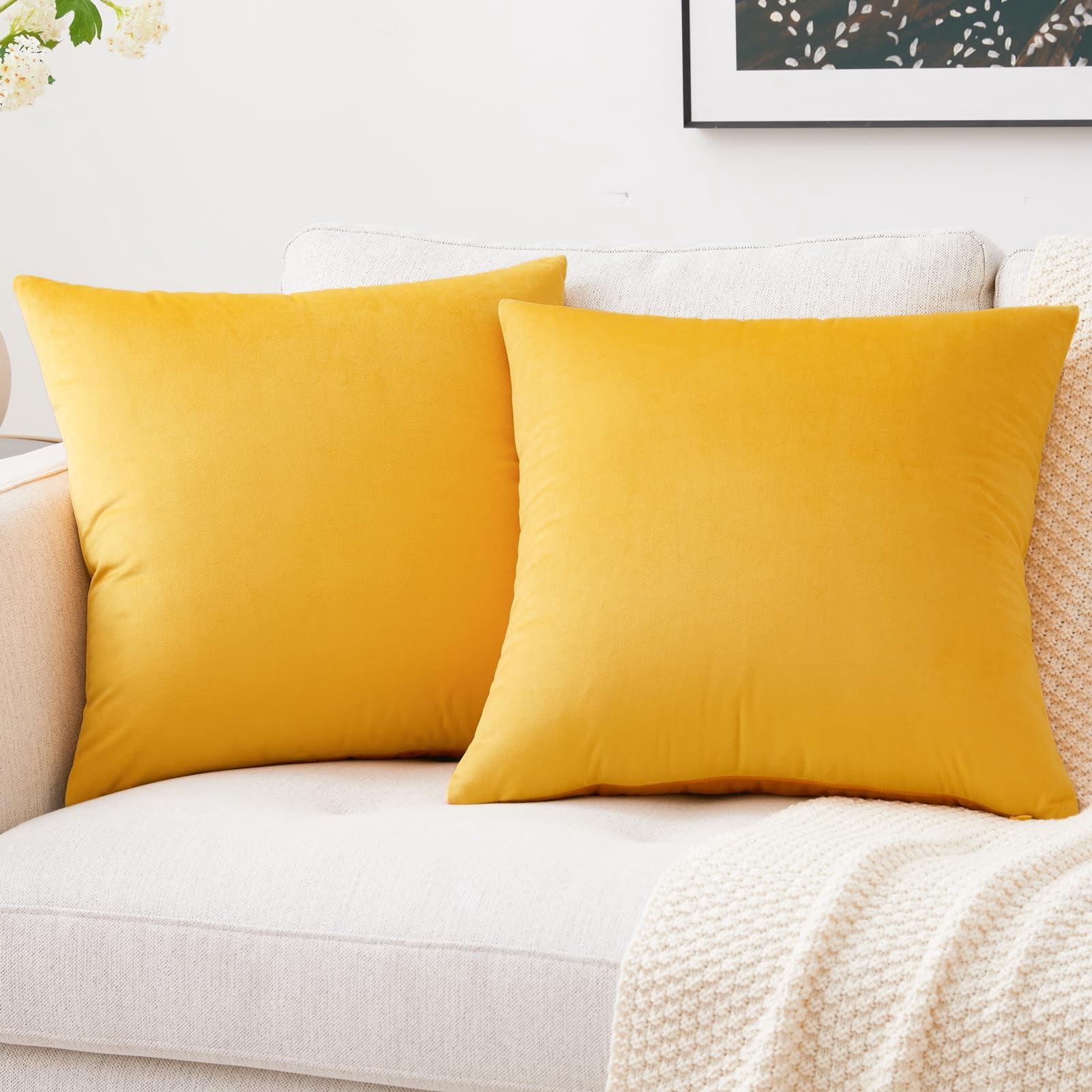 Set of 2 Cozy Velvet Square Decorative Throw Pillow Covers for Couch ...