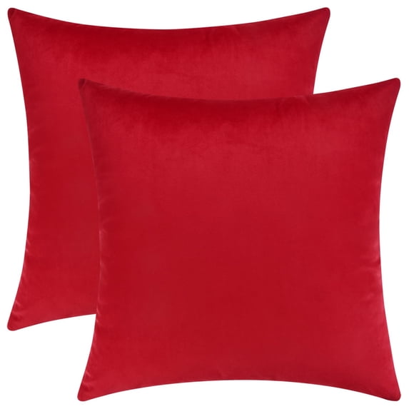 Set of 2 Cozy Velvet Square Decorative Throw Pillow Covers for Couch ...