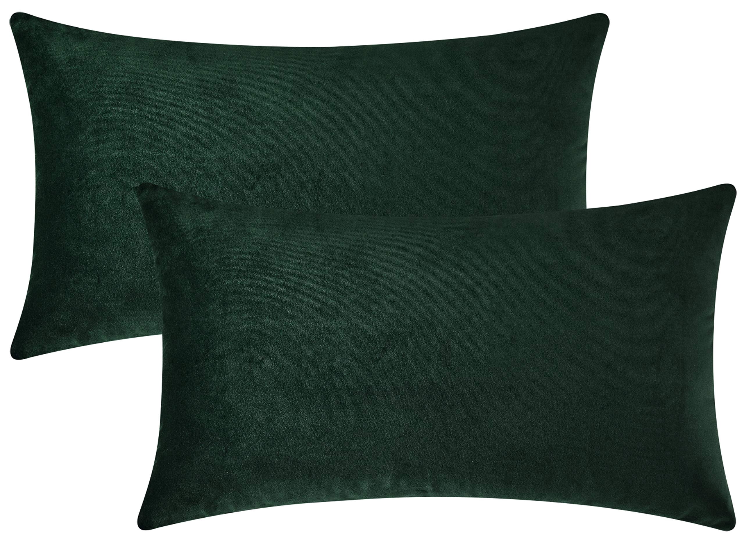 Set of 2 Cozy Velvet Square Decorative Throw Pillow Covers for Couch ...