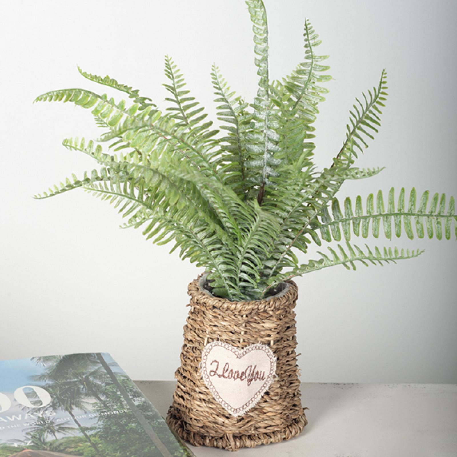 Set of 2 Fern In A Rattan Basket With I Love You Label Faux Plants And ...