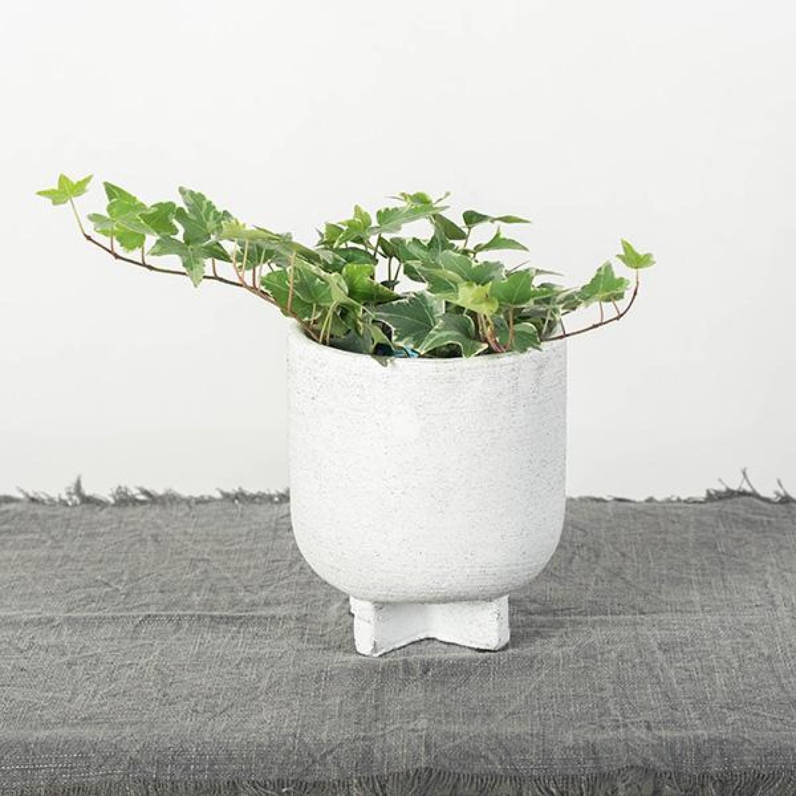 Set of 2 Footed Rough Matte Finish White With Black Speckles Planter ...