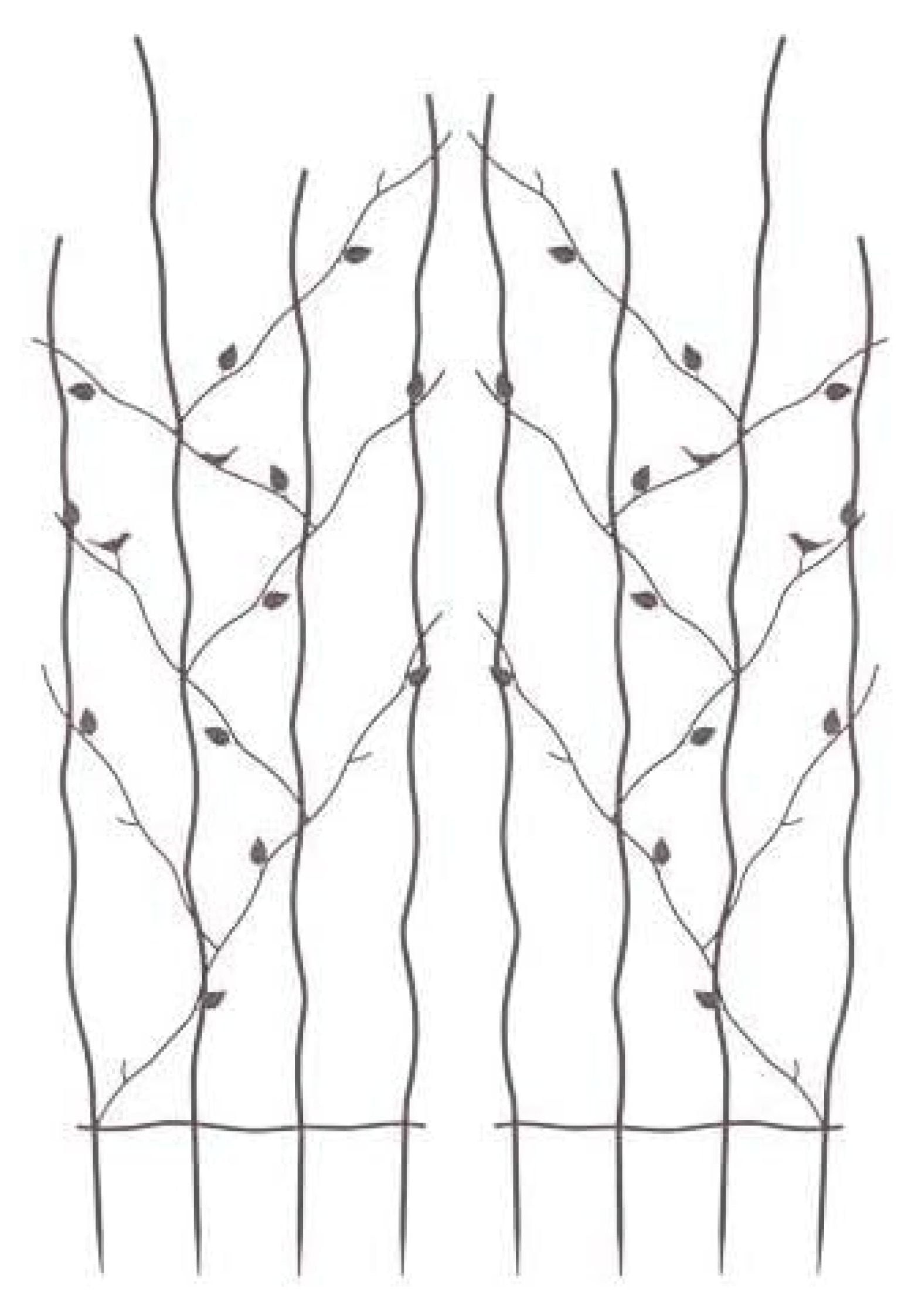 Set of 2 Gardman Nature Trellises, Antique Rust, 70" H - Walmart.com