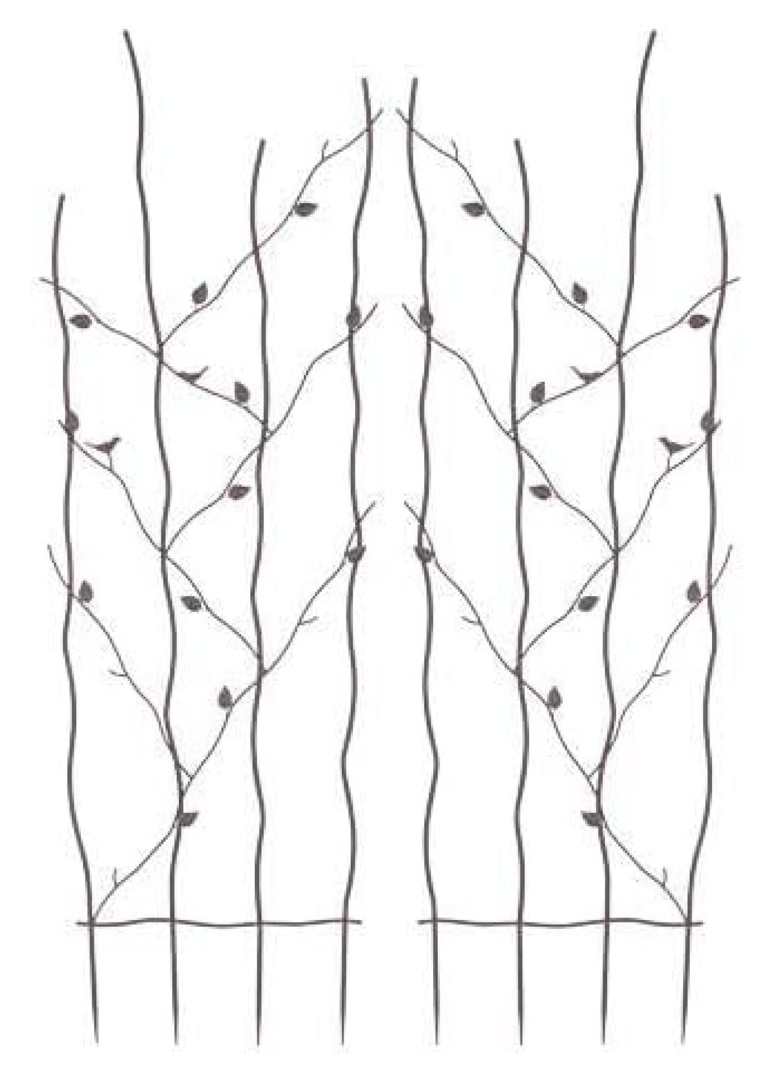 Set of 2 Gardman Nature Trellises, Antique Rust, 70" H - Walmart.com