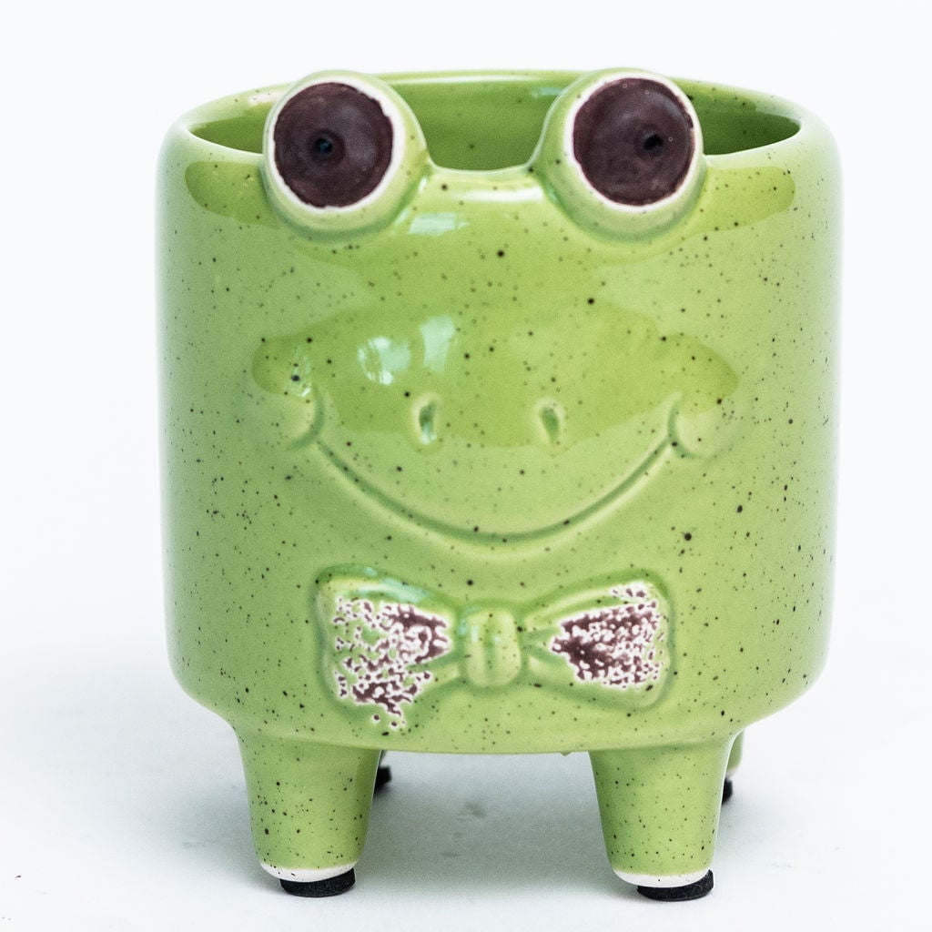 Set of 2 Happy Footed Frog Planter - Walmart.com