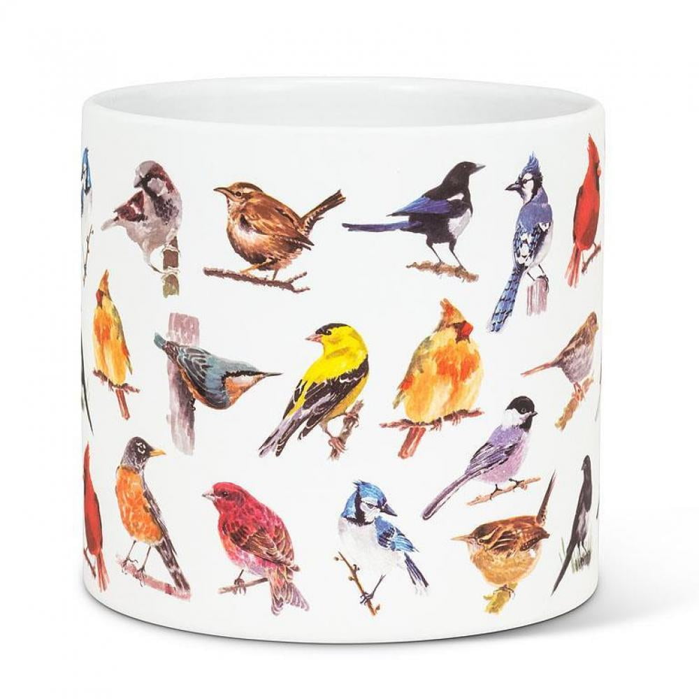 Set of 2 North American Birds Planter - Walmart.com