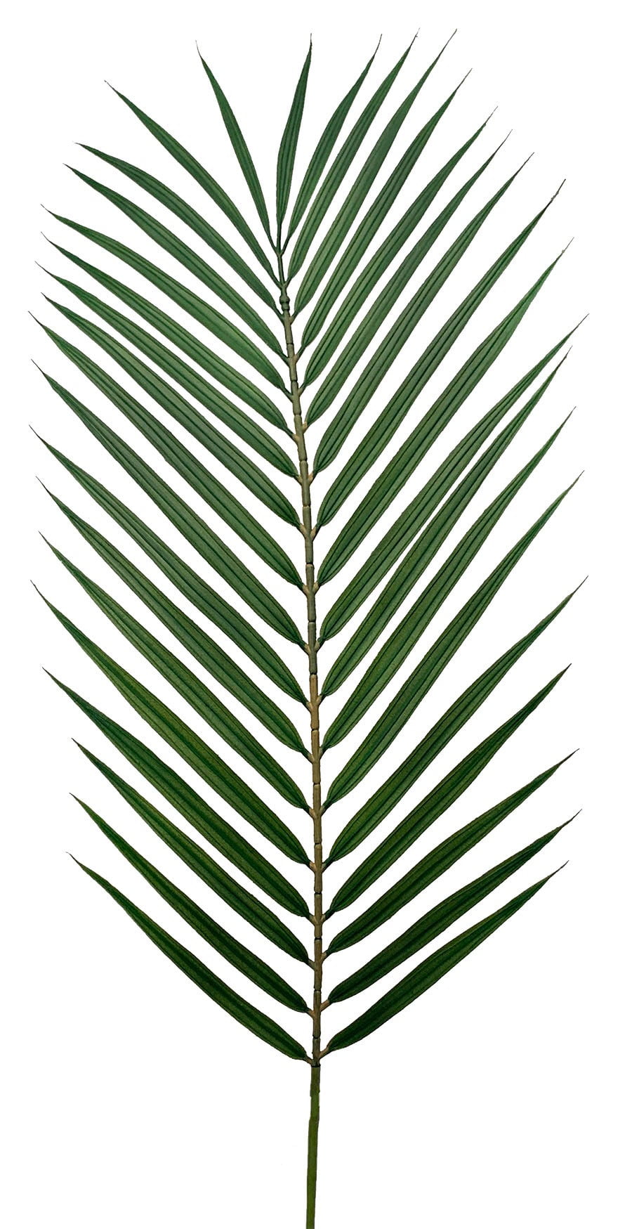 Set of 2 Palm Frond Faux Plants And Trees - Walmart.com