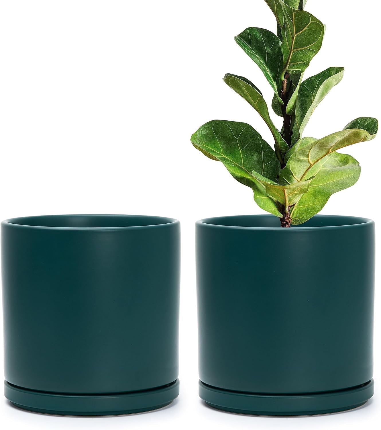 Set of 2 Plants Pots, 8 Inch Ceramic Planter Pot for Plants with ...