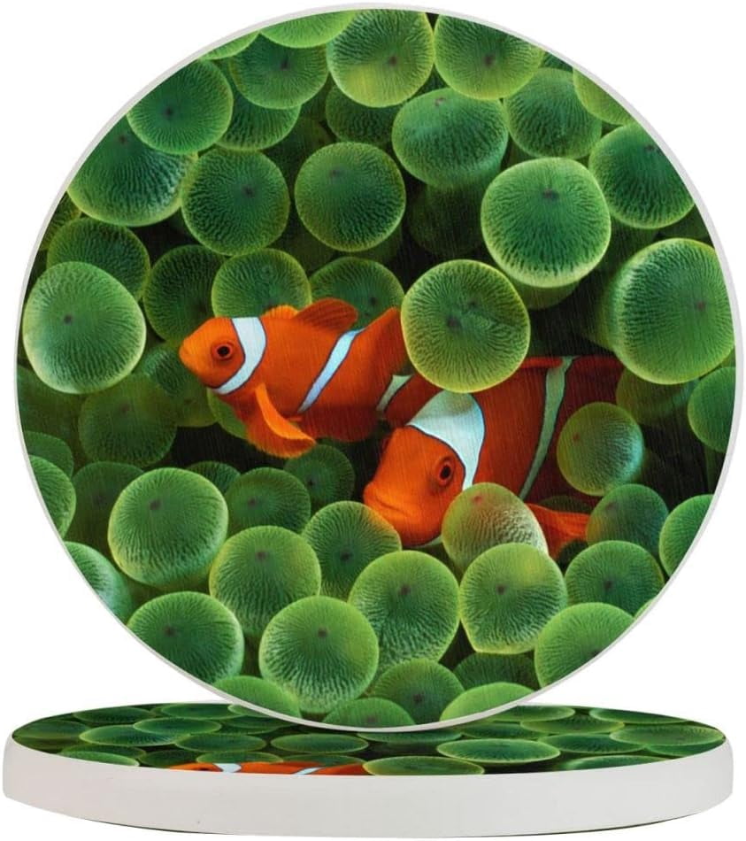 Set of 2 Round Coasters Clownfish-Tropical-Fish-Nemo for Drinks 4 Inch ...