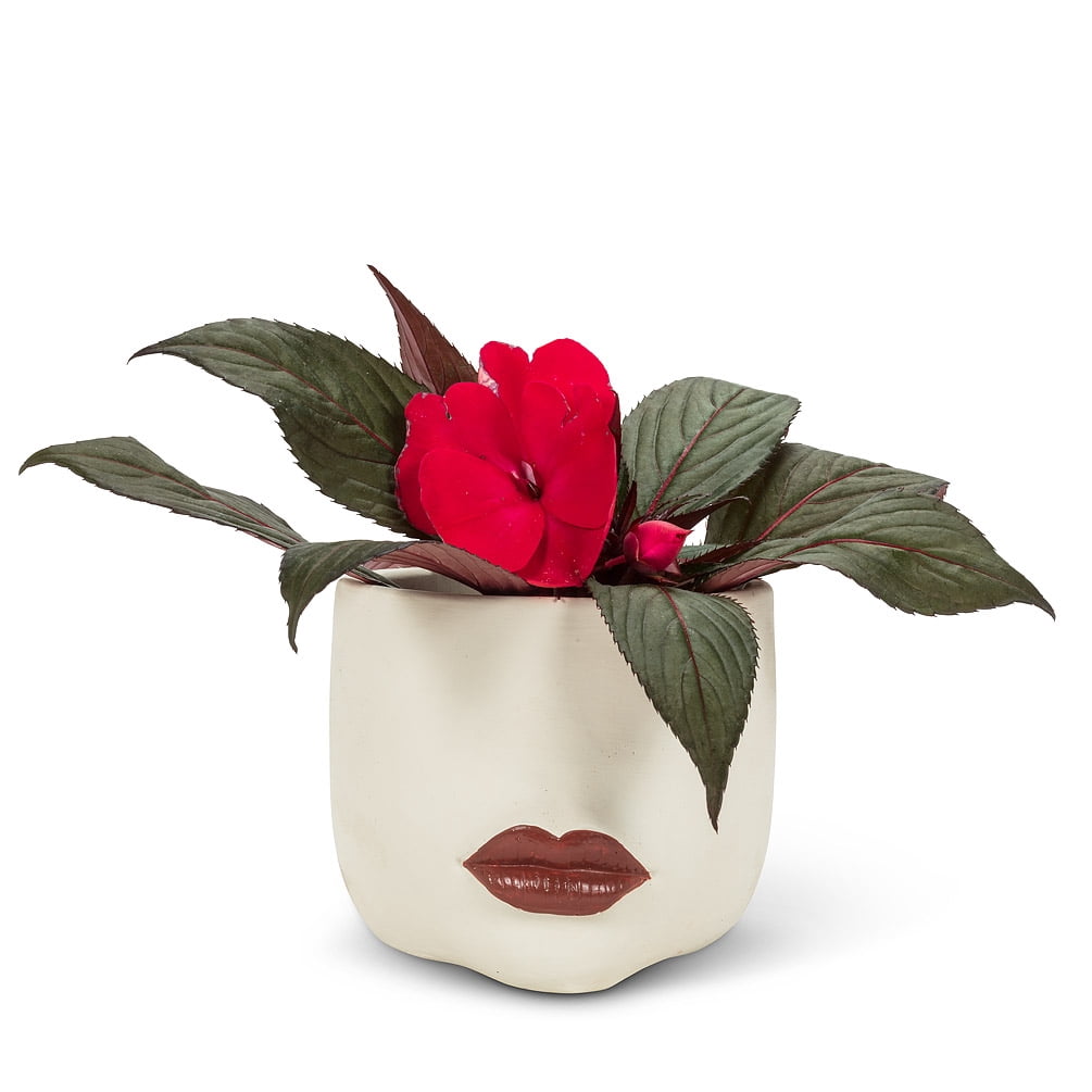 Set of 2 Small Red Lip Planter - Walmart.com