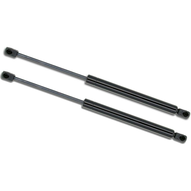 Set of 2 Xterra 2005 to 2015 Liftgate Supports with Added Force Ladder ...