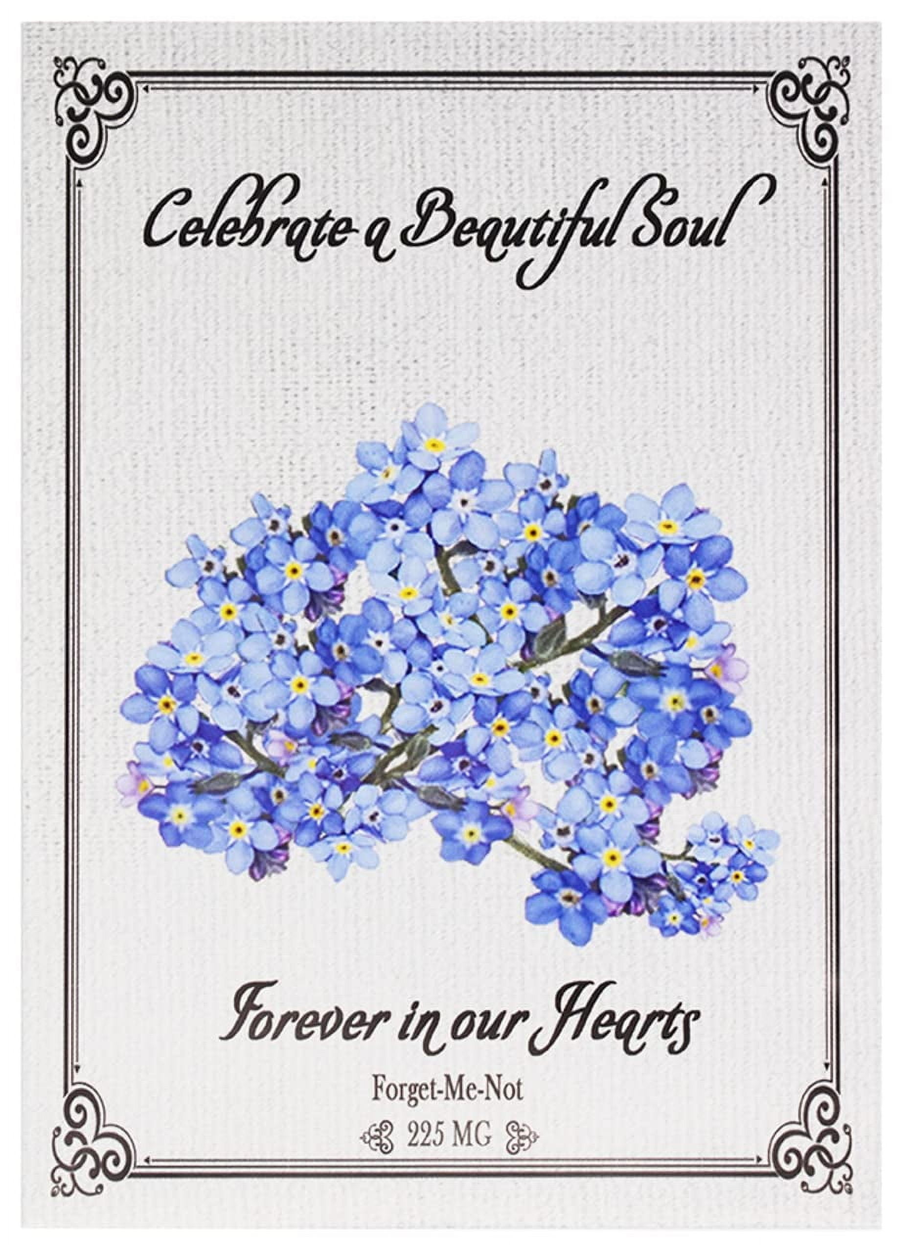 Set of 25 Forget-Me-Not Memorial Seed MVR1 Packets - Individually ...