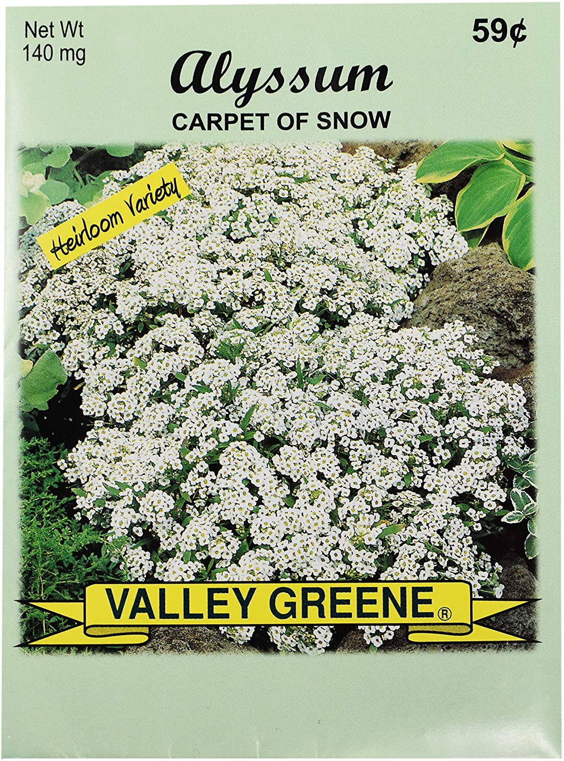 Set of 25 Packs of Carpet of Snow Flower Seed Packets! Flower Seeds in ...