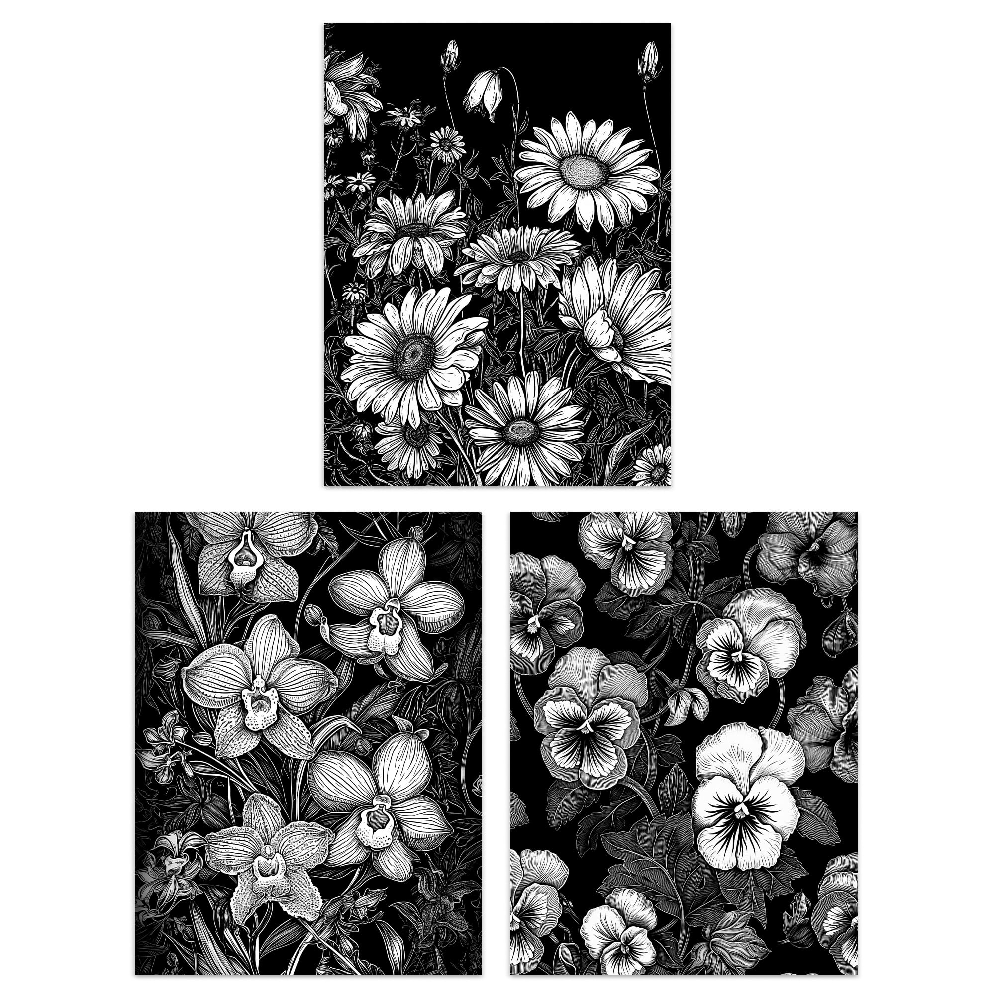 Set of 3 Elegant Spring Flowers Daisies Orchids Peonies Black and White ...