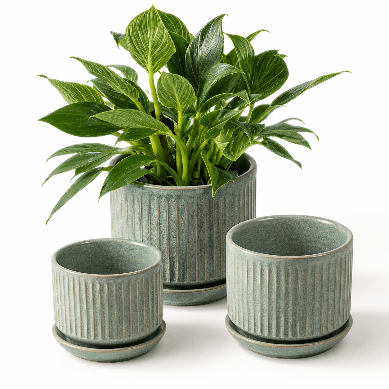 Set of 3 Matt Green Ceramic Plant Pots with Drainage Holes and Saucers ...