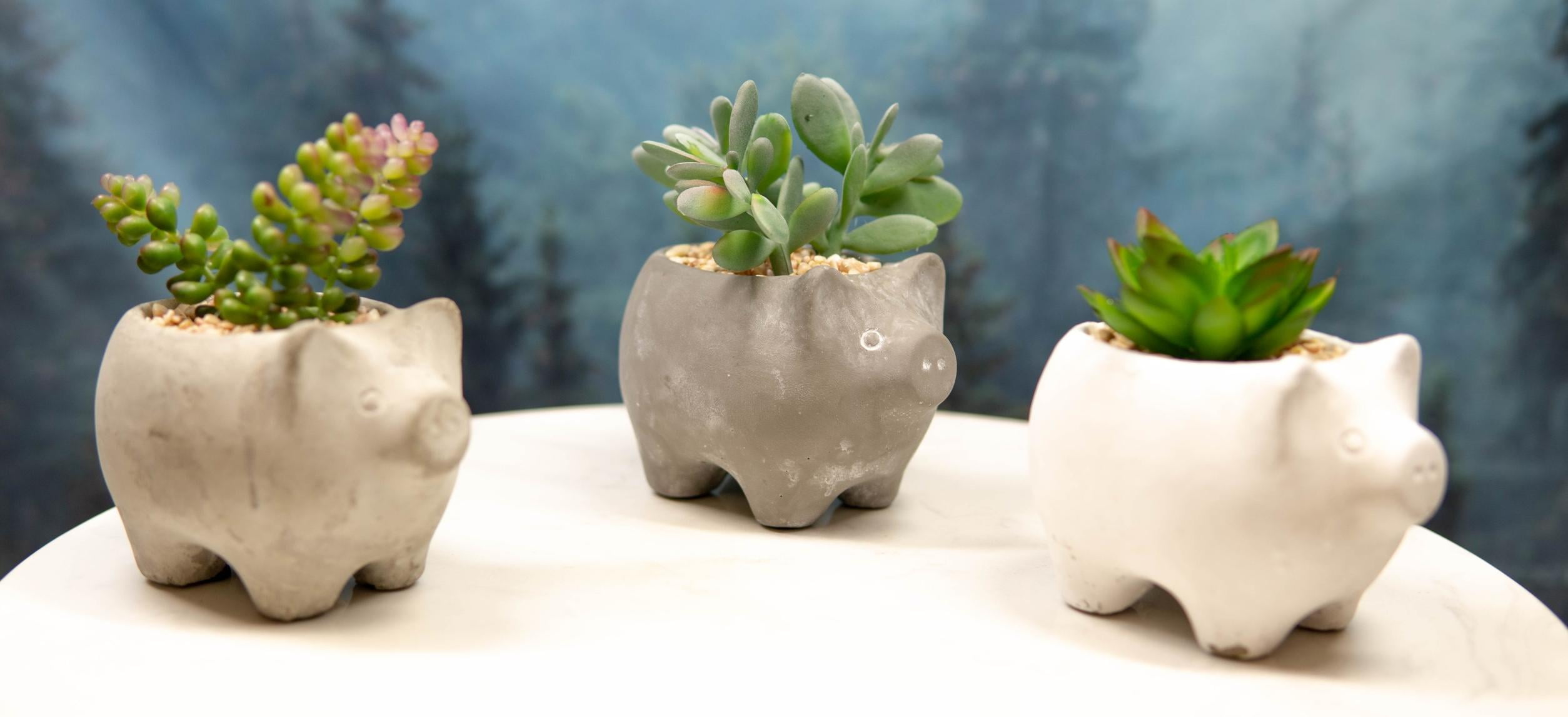 Set of 3 Realistic Artificial Botanica Succulents in Little Pigs Pot 5 ...