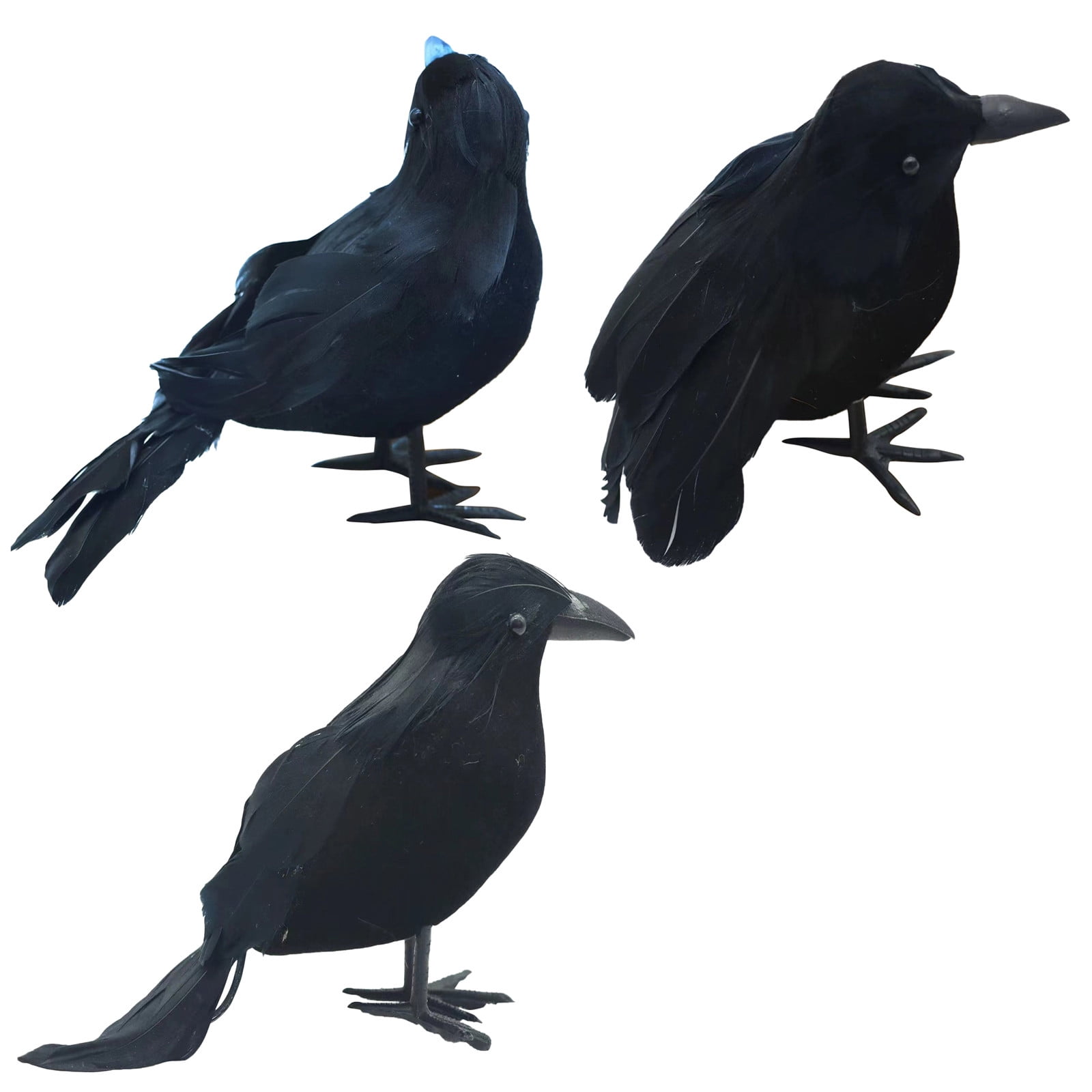 Set of 3 Realistic Black Feathered Crows for Halloween Decorations ...