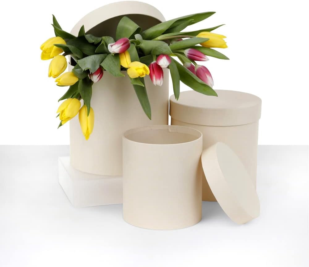 Set of 3 Round Flower/Gift Boxes, Plastic Liner Included, (Biege ...